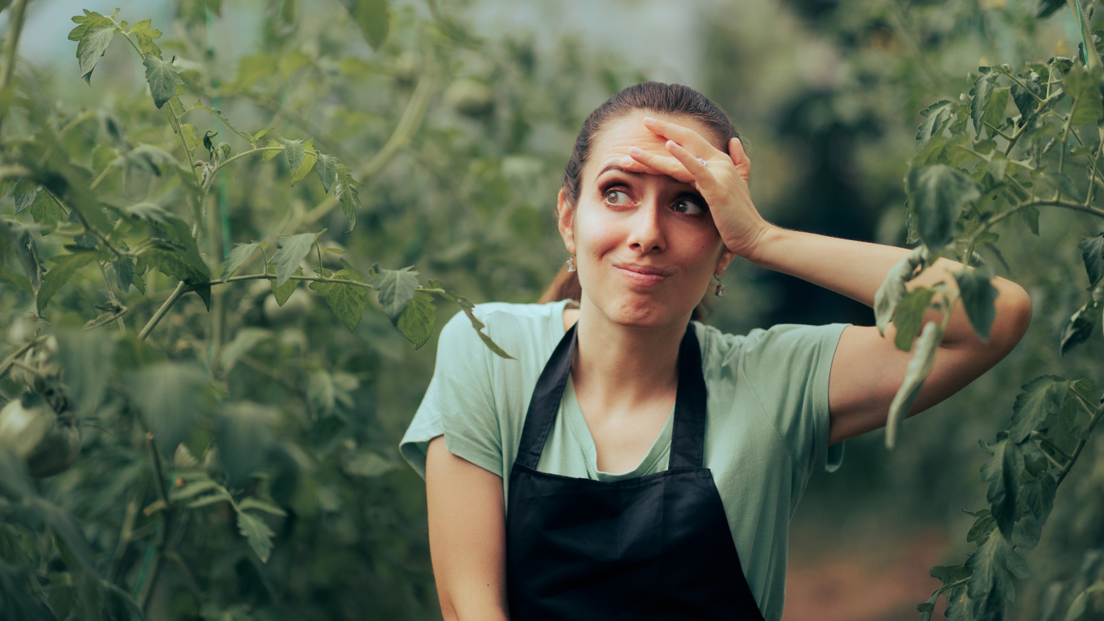 10 Common Gardening Mistakes That Are Horrible For The Environment