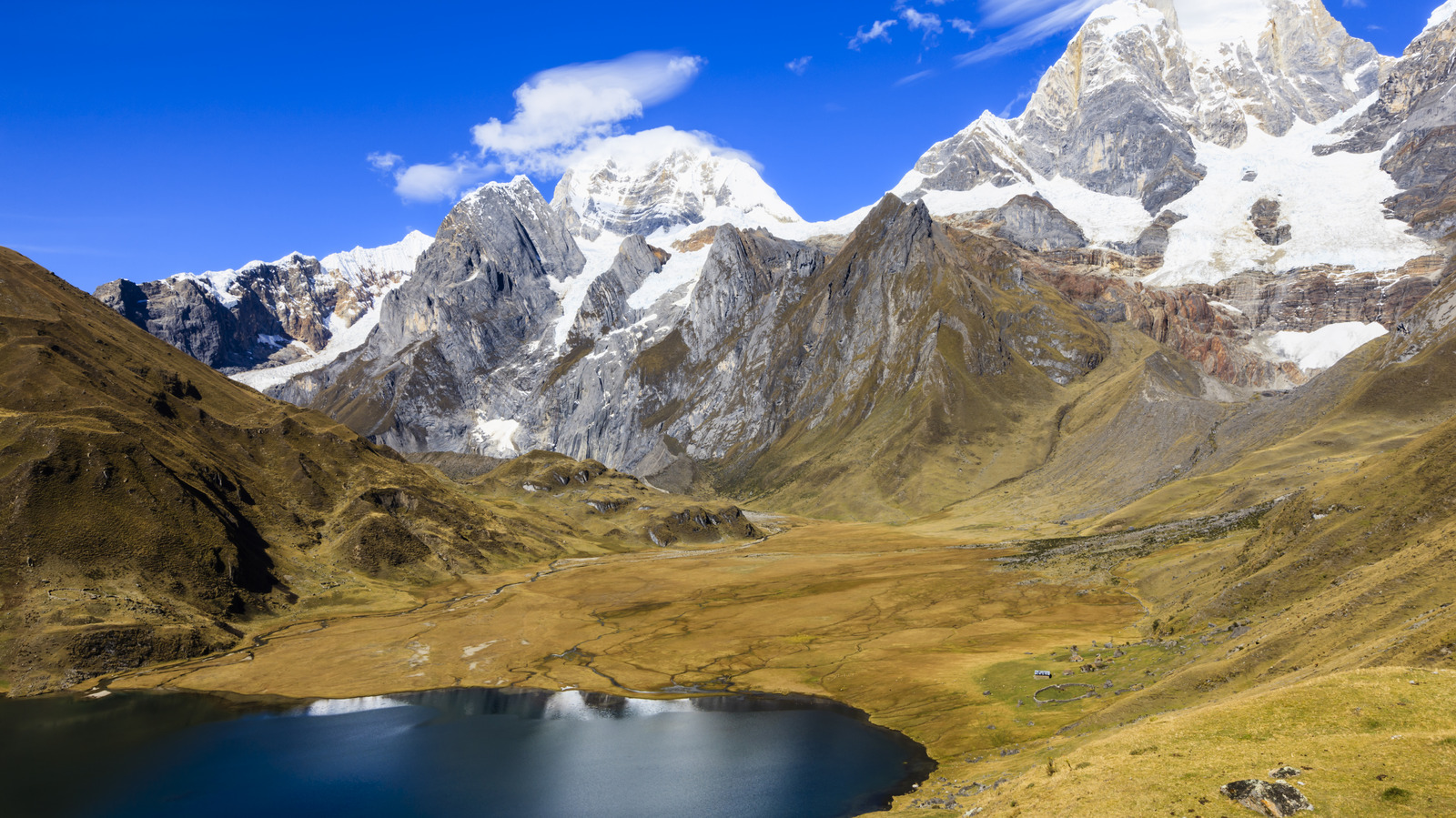 5 Beautiful Animals You Might Be Lucky Enough To See While Adventuring ...