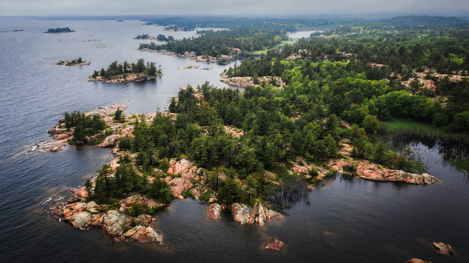 5 Creatures To Beware Of When Adventuring In The Great Lakes Region