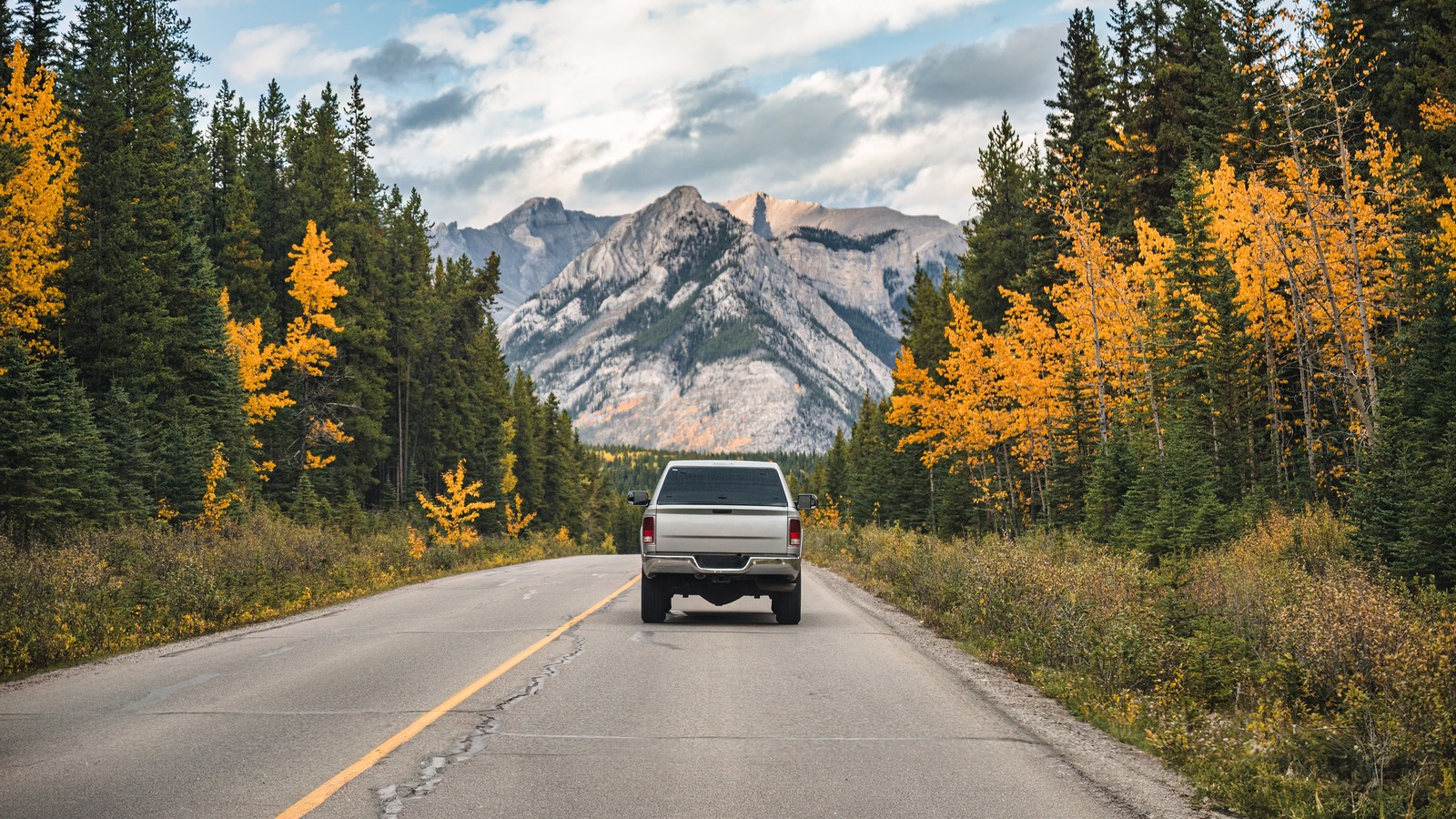 5 Creatures To Beware Of When Visiting Banff National Park
