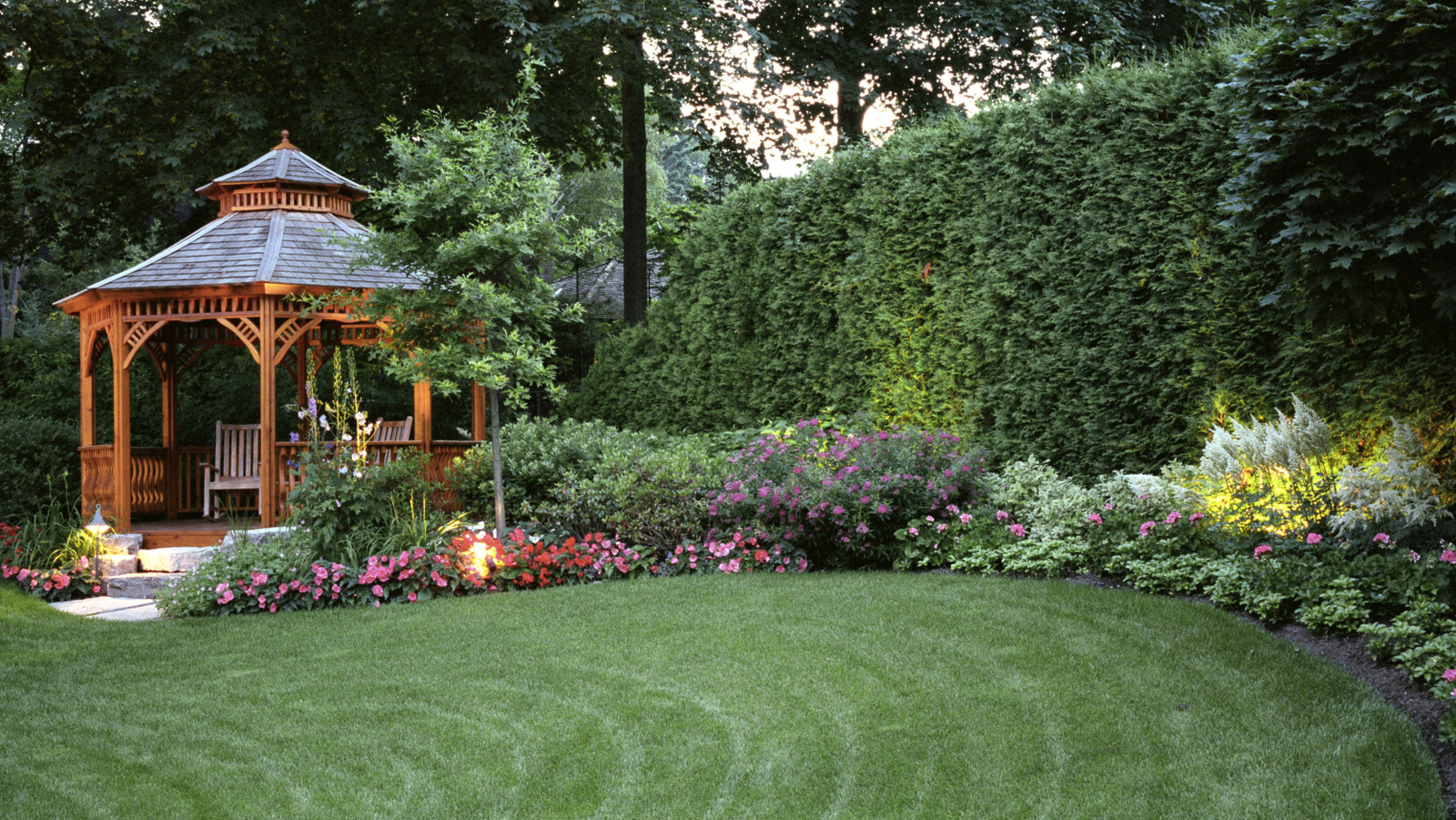 A Beautiful Dense Hedge That'll Add Extra Privacy To Your Yard