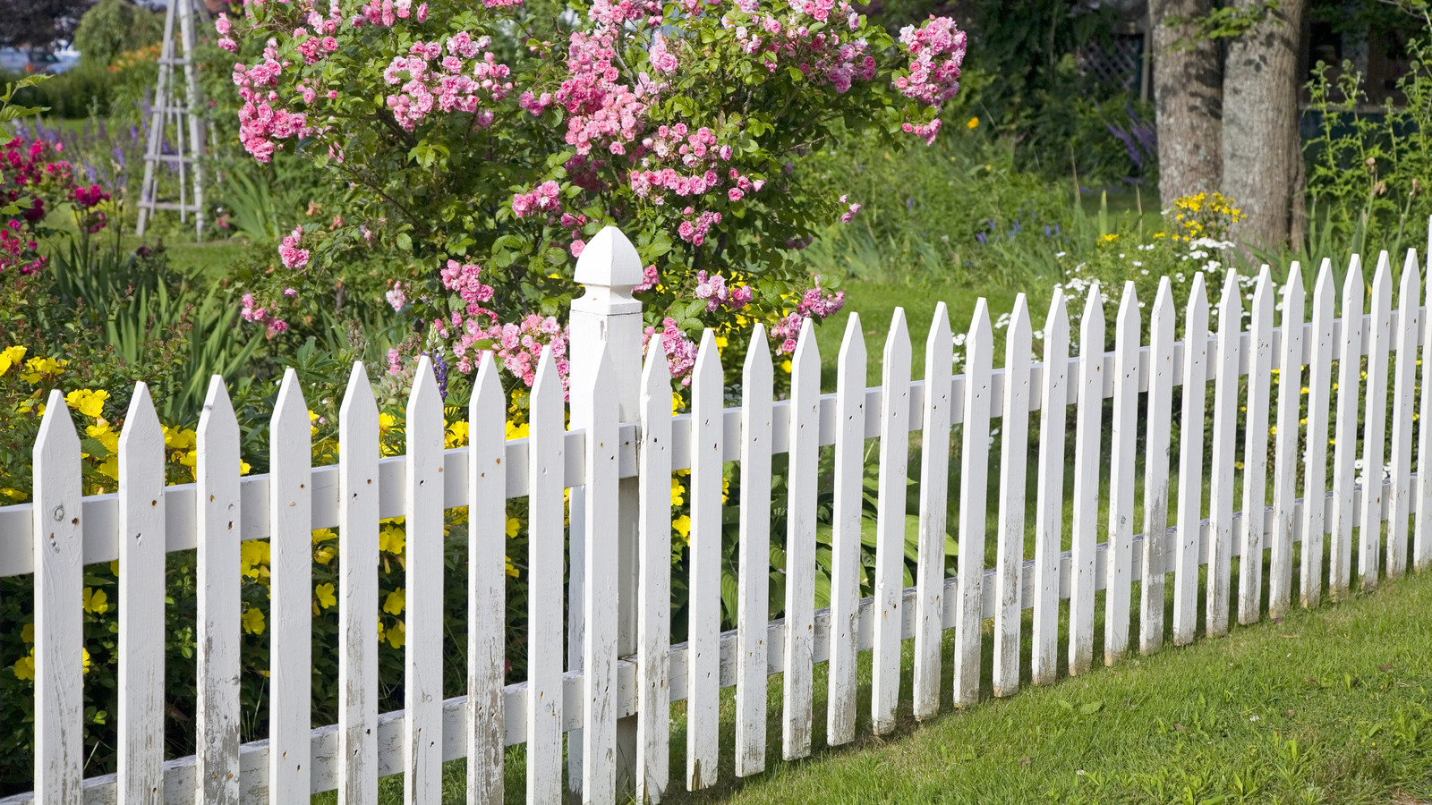 A Clever Fence DIY That'll Create Extra Shade In Your Yard