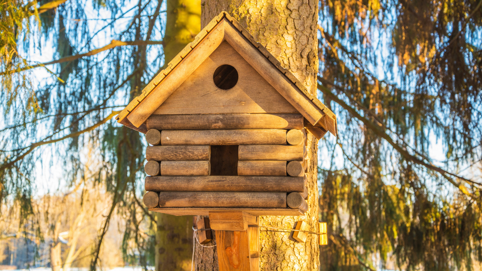 Add A Rustic Feel To Your Garden With A DIY Log Cabin Birdhouse