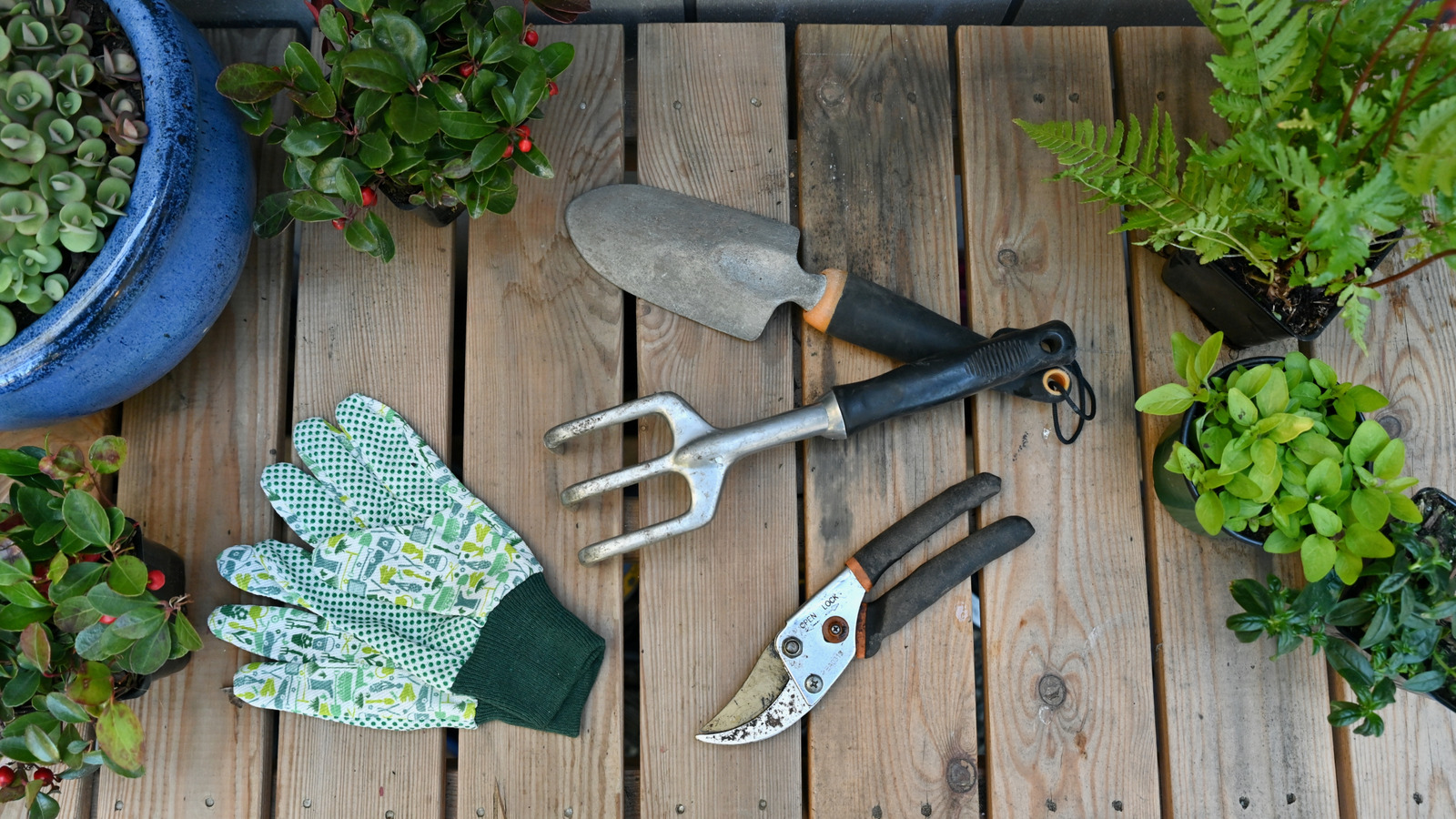Amazon Prime Day 2025: 4 Top-Rated Gardening Sets That Are Perfect For ...