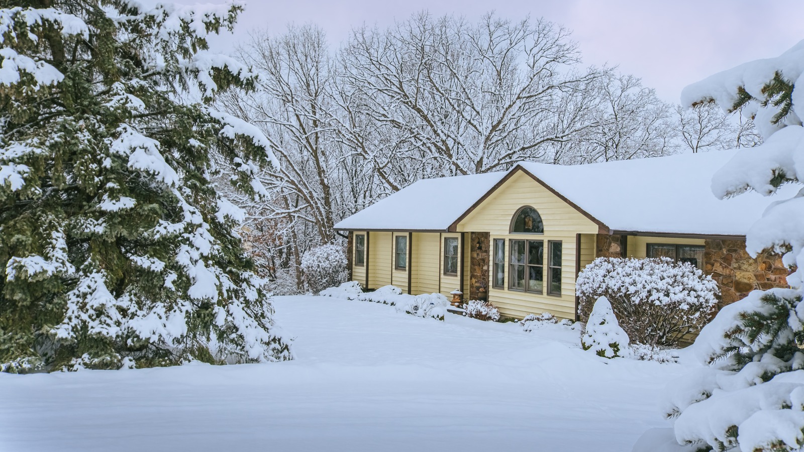 Avoid This To Keep Your Snowy Lawn Healthy All Winter Long