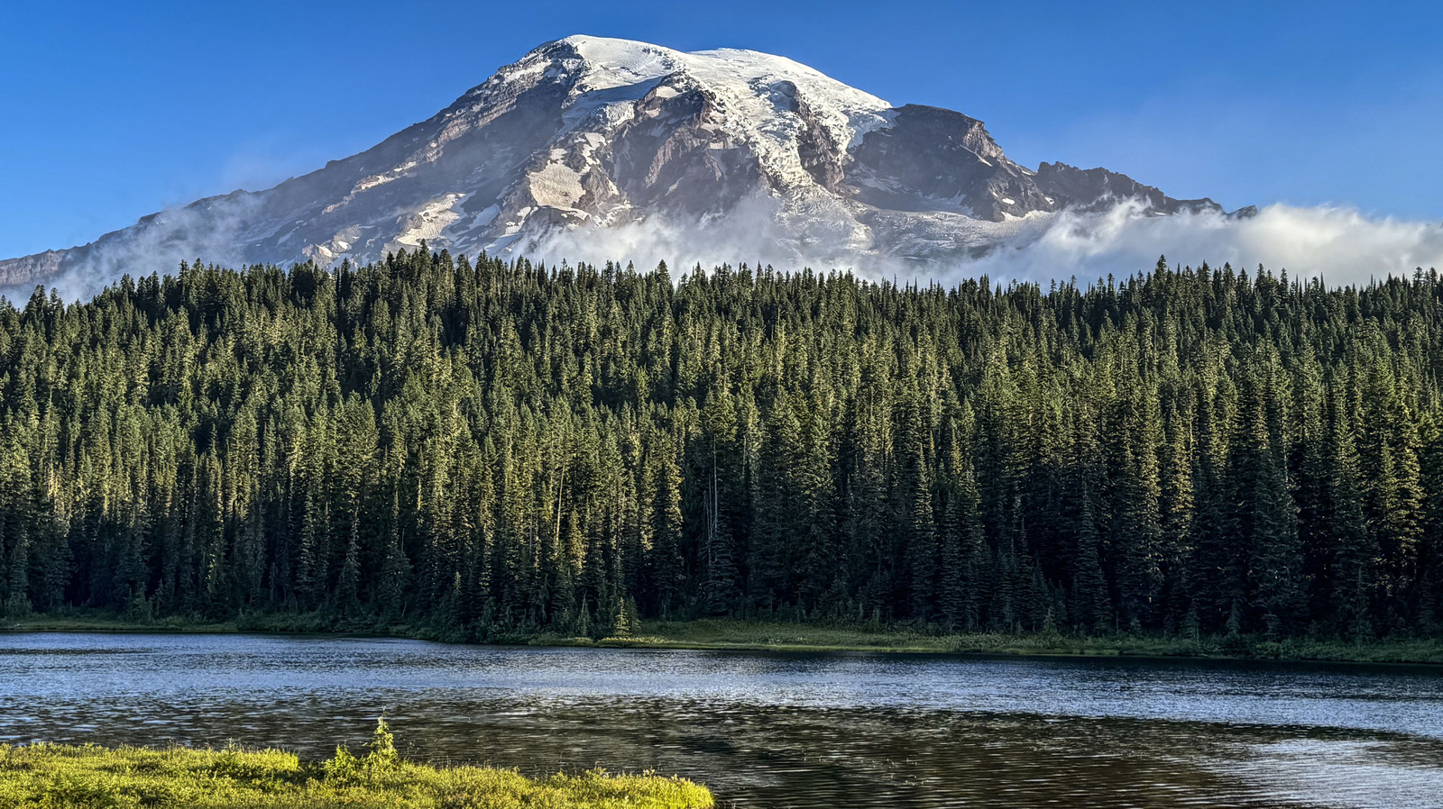 Beware Of These Dangerous Creatures When Visiting Mount Rainier ...