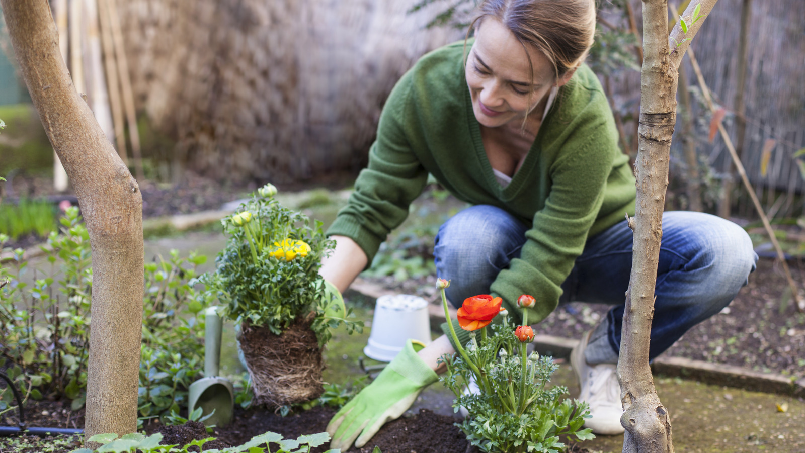 The Low-Maintenance Flower That'll Brighten Up Your Shady Garden