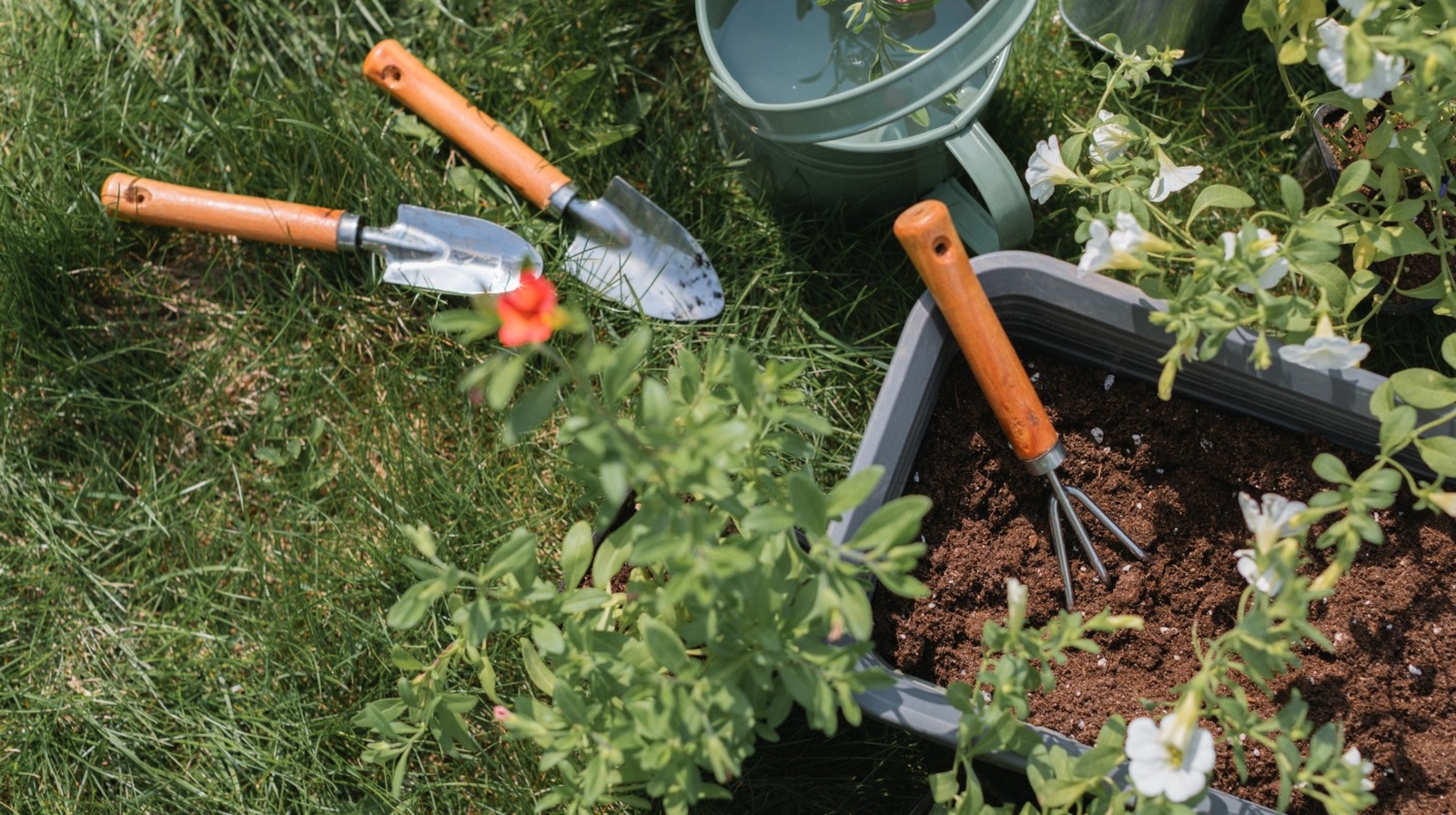 Costco's Highest-Rated Garden Set Is Perfect For Beginner Gardeners