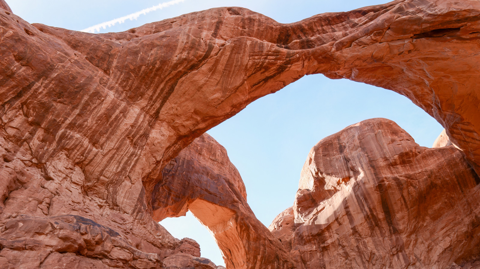 Creatures To Look Out For When Visiting Arches National Park