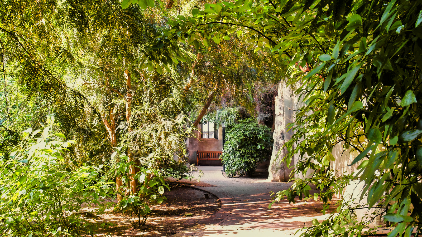 DIY A Budget-Friendly Garden Arch With A Popular Dollar Tree Find