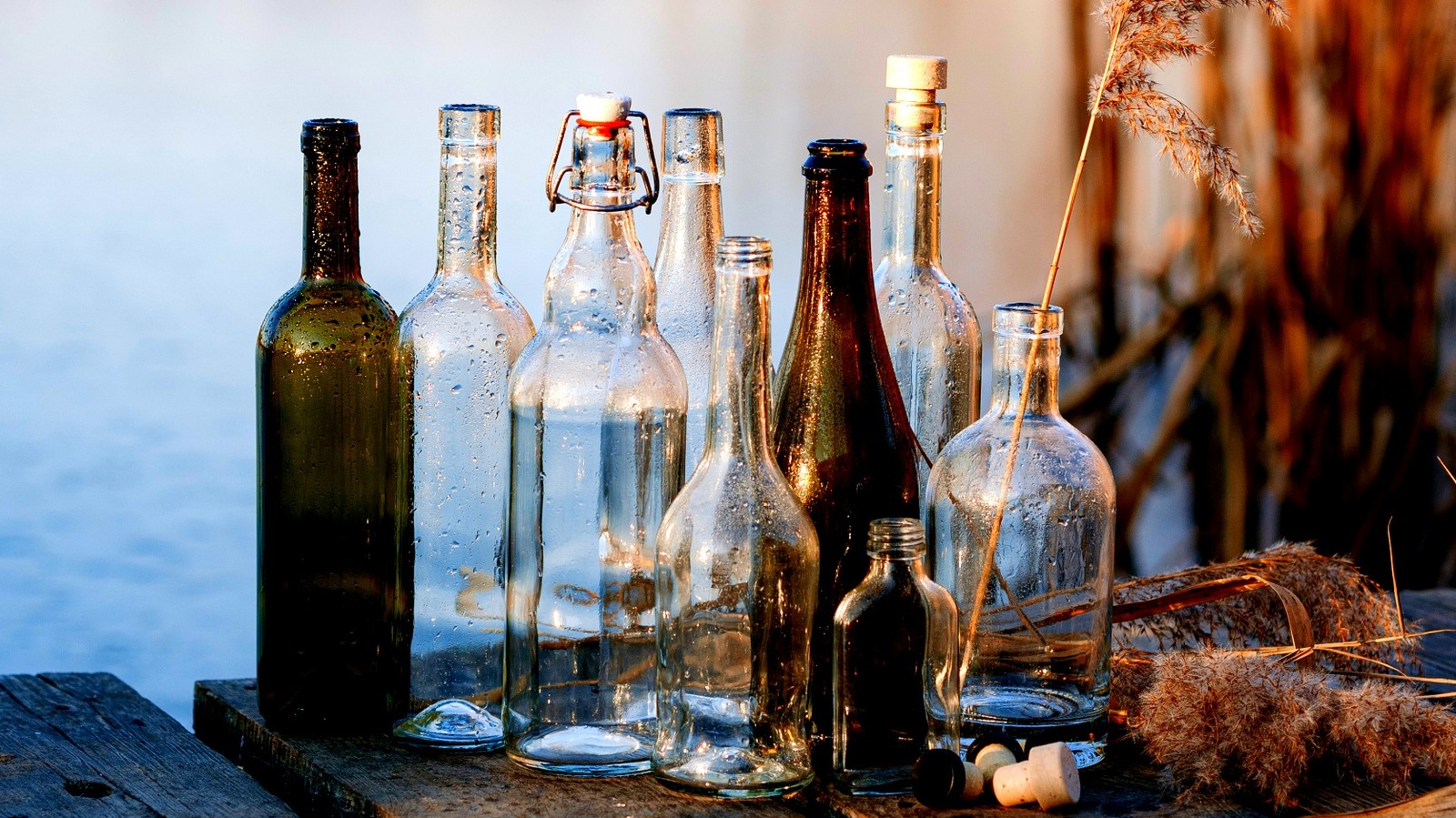 DIY A Self-Watering Planter By Upcycling An Empty Alcohol Bottle