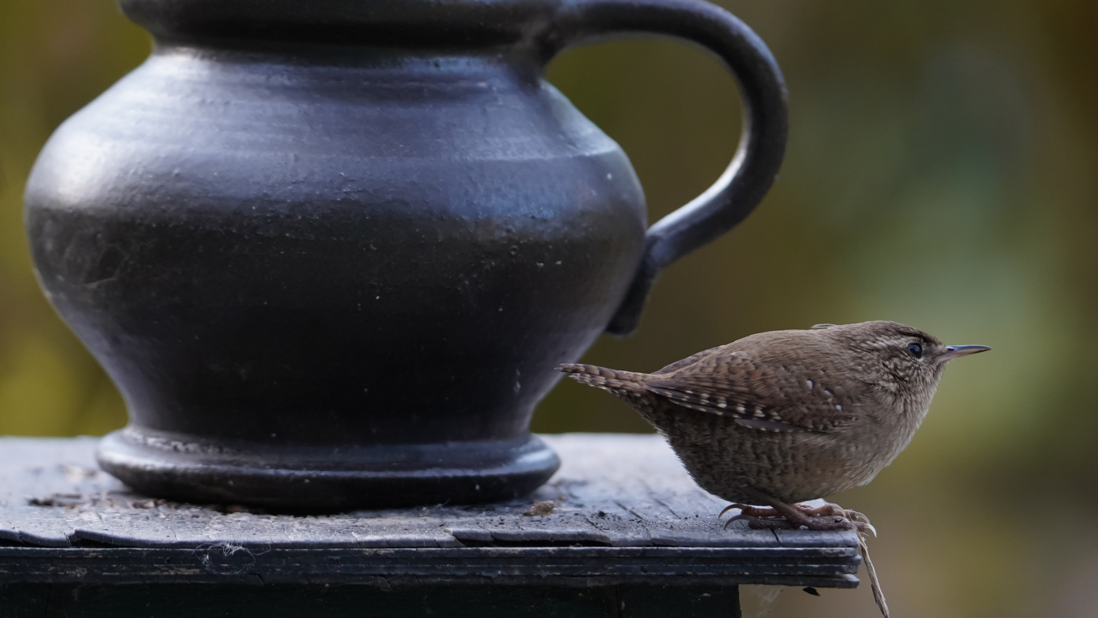 DIY An Adorable Birdhouse By Repurposing Your Old Teapot