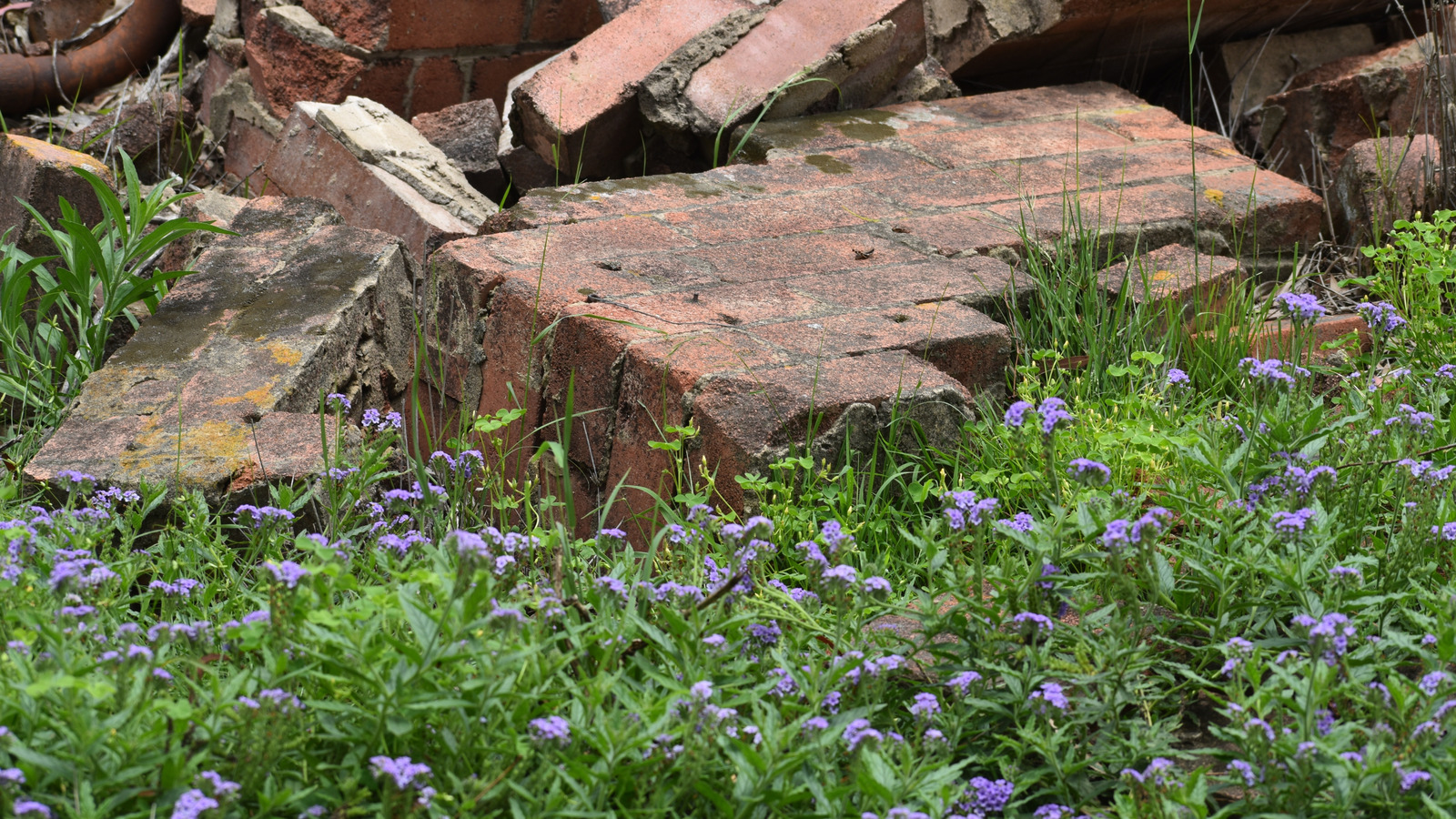 Don't Throw Away Broken Bricks, Turn Them Into A Garden Pathway