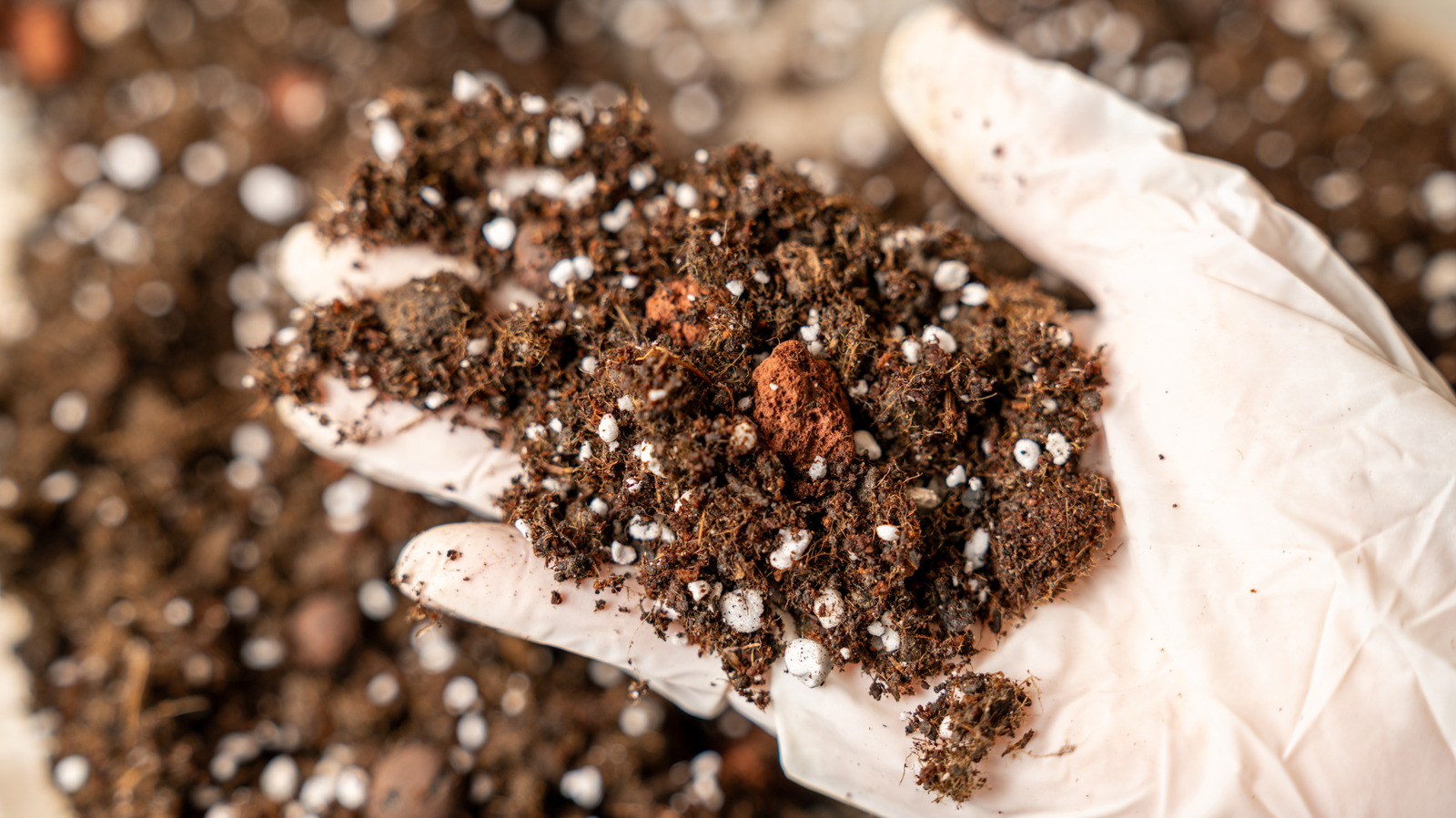 Don't Throw Away Old Potting Soil, Use It To Attract More Pollinators ...