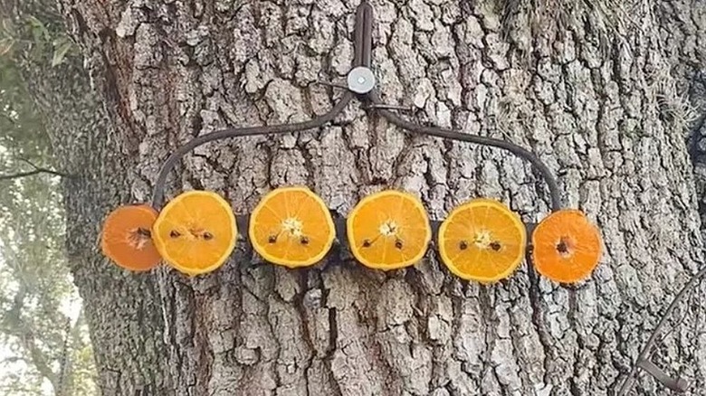 Don't Throw Out An Old Rake – Turn It Into A Unique Feeder Birds Will Love