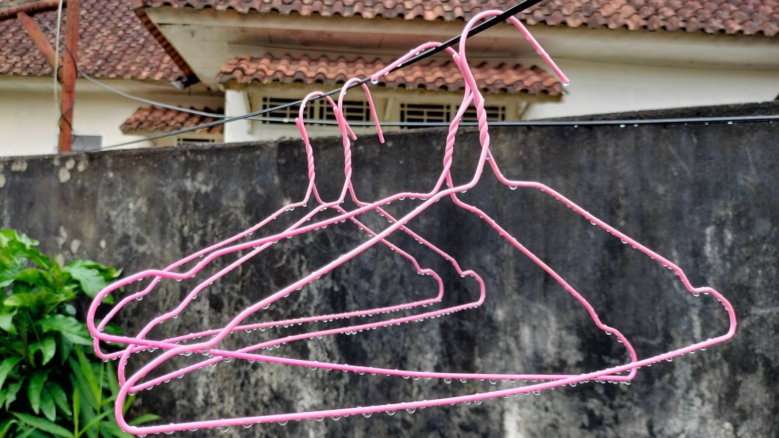 Don't Throw Out Your Old Wire Hanger, Turn It Into A Hanging Planter ...