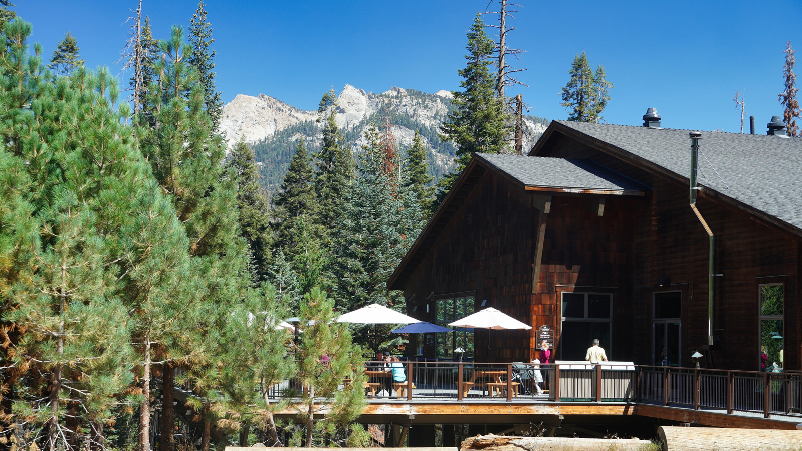 The Best Lodging Option For Visiting The Beautiful Sequoia National Park