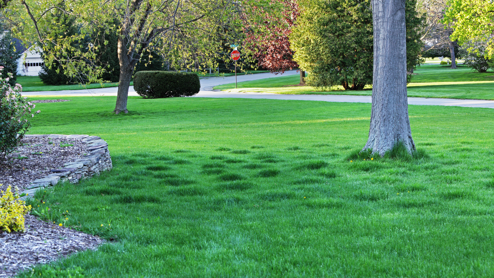 Genius Tricks To Level Your Bumpy Lawn Without Heavy Equipment