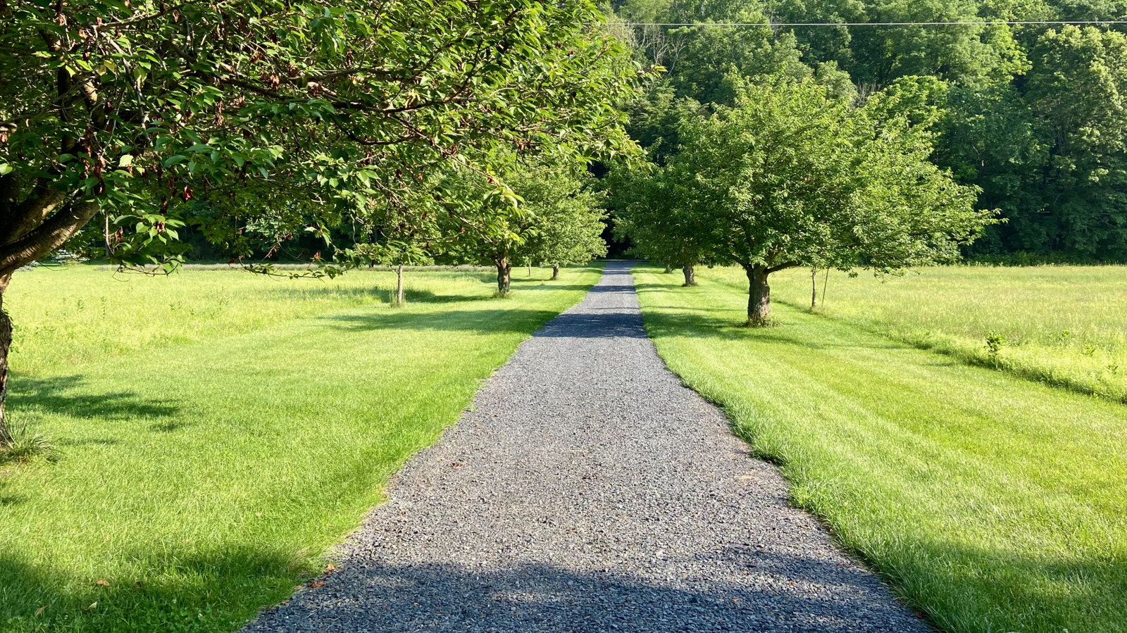 Get Rid Of Potholes In Your Gravel Driveway With The Help Of A Heavy ...