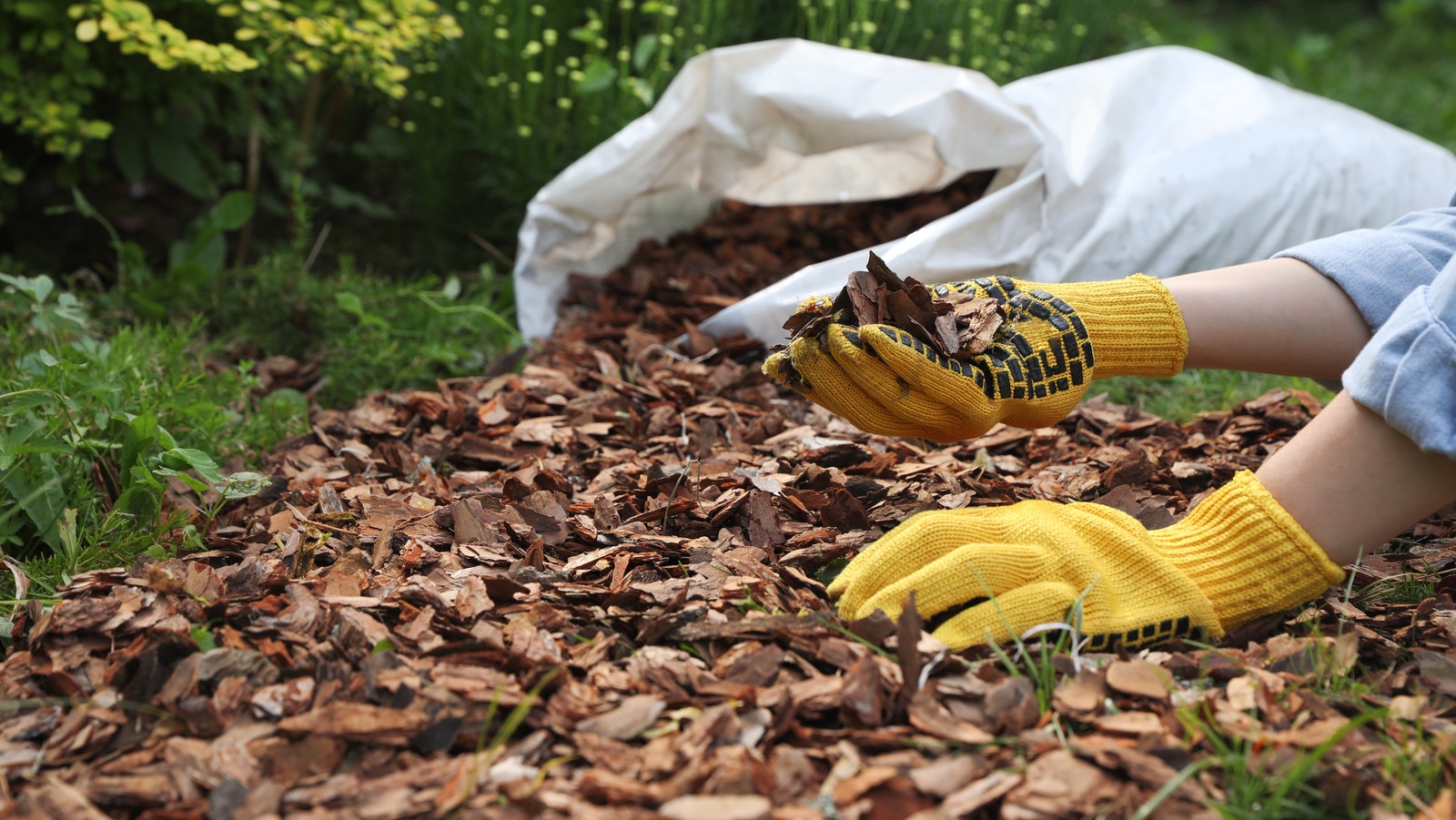 Here's How Often You Should Refresh The Mulch In Your Garden