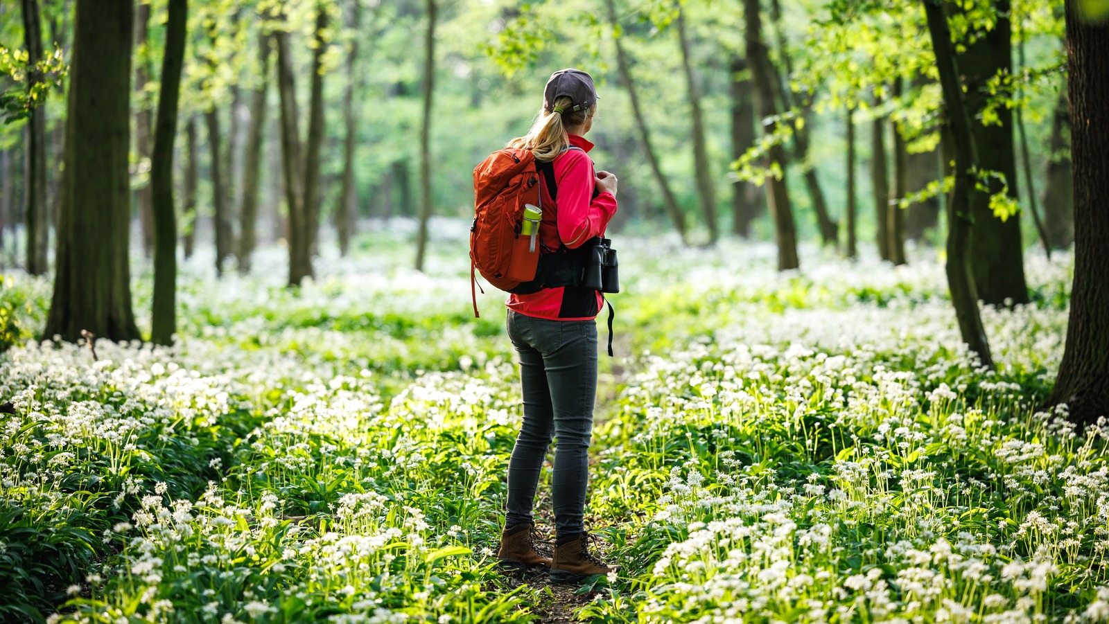 Hiking Terms You Need To Know Before Your Next Adventure