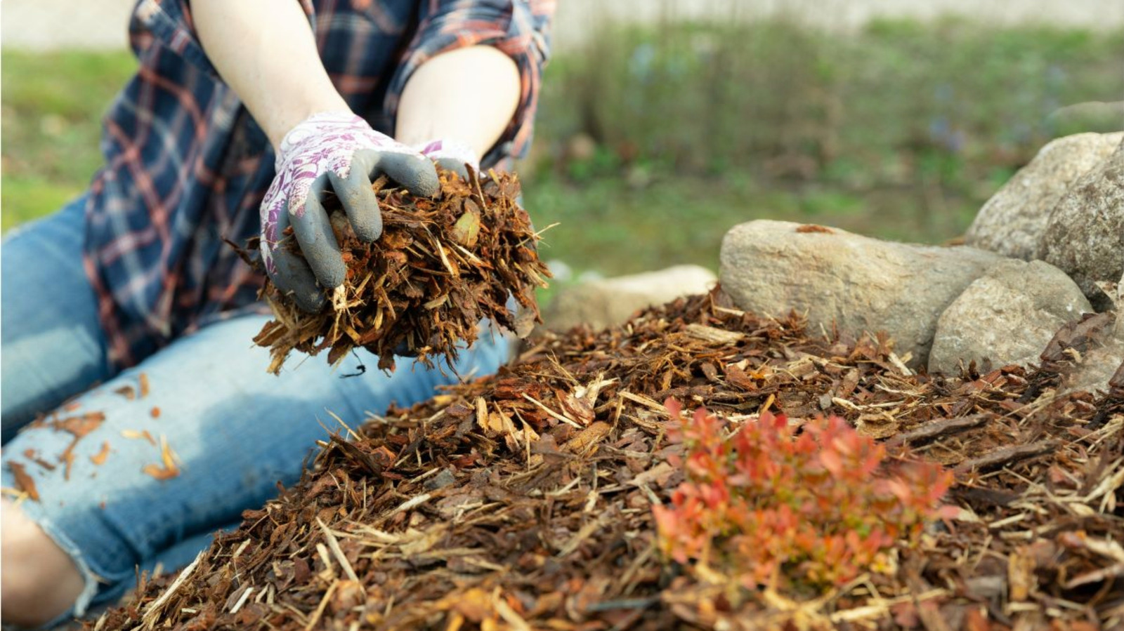 How Long Dyed Mulch Retains Its Color & How You Can Refresh It