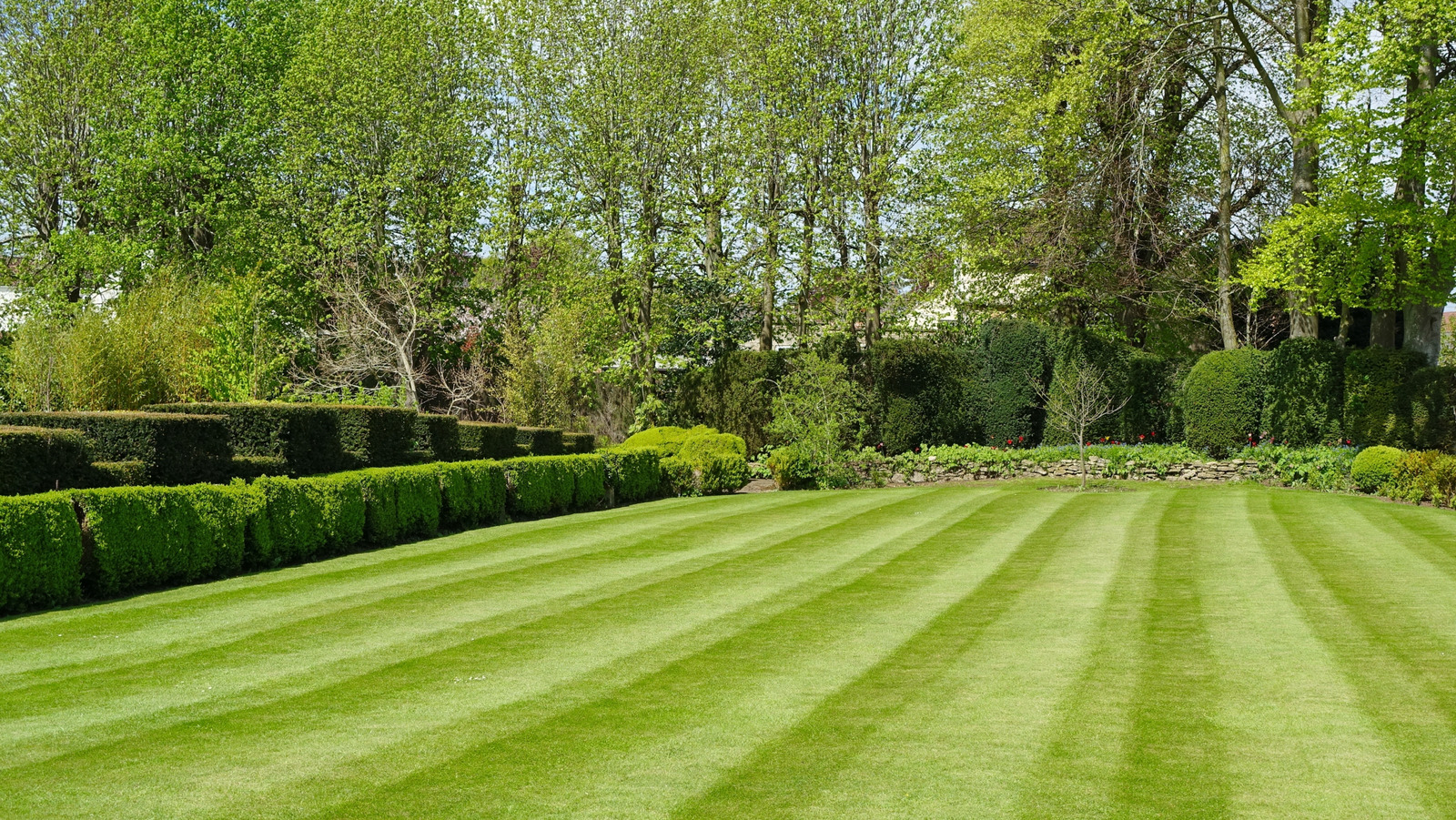 How Striping Your Lawn Is Helping You Grow Healthier Grass