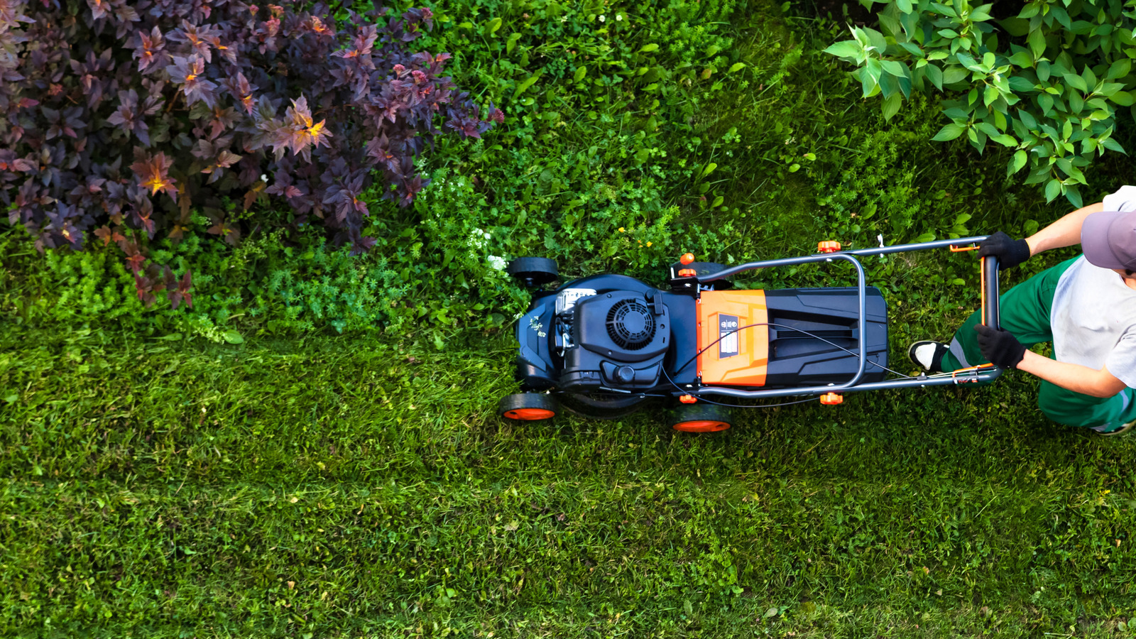How To Choose Between A Cylinder And Rotary Lawn Mower