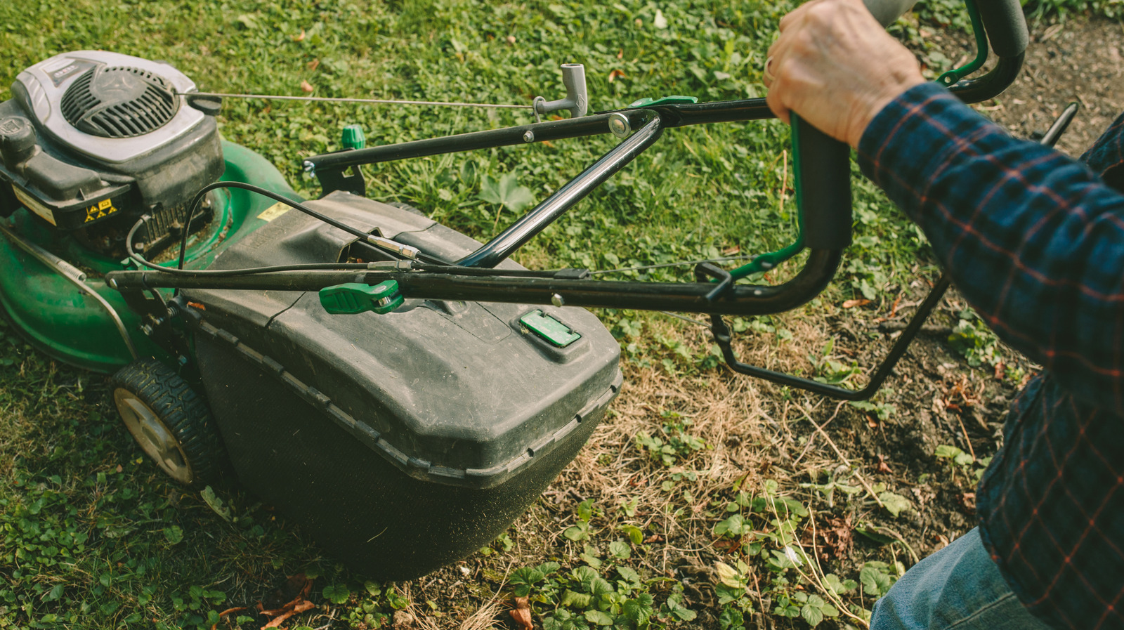 How To Choose Between A Self-Propelled And Push Mower For Your Lawn
