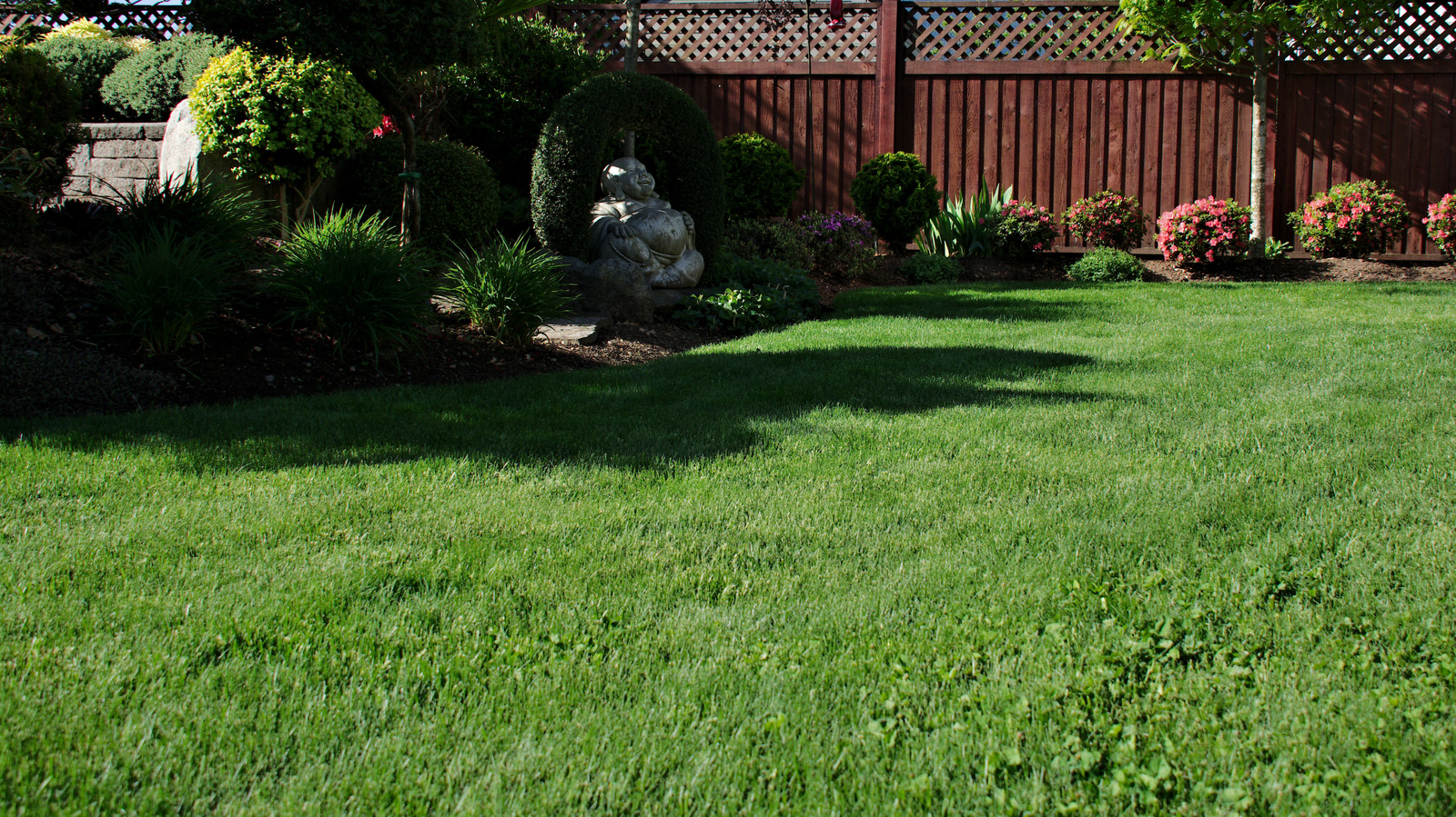 How To Choose Between Dry And Hydro Seed For Your Lawn