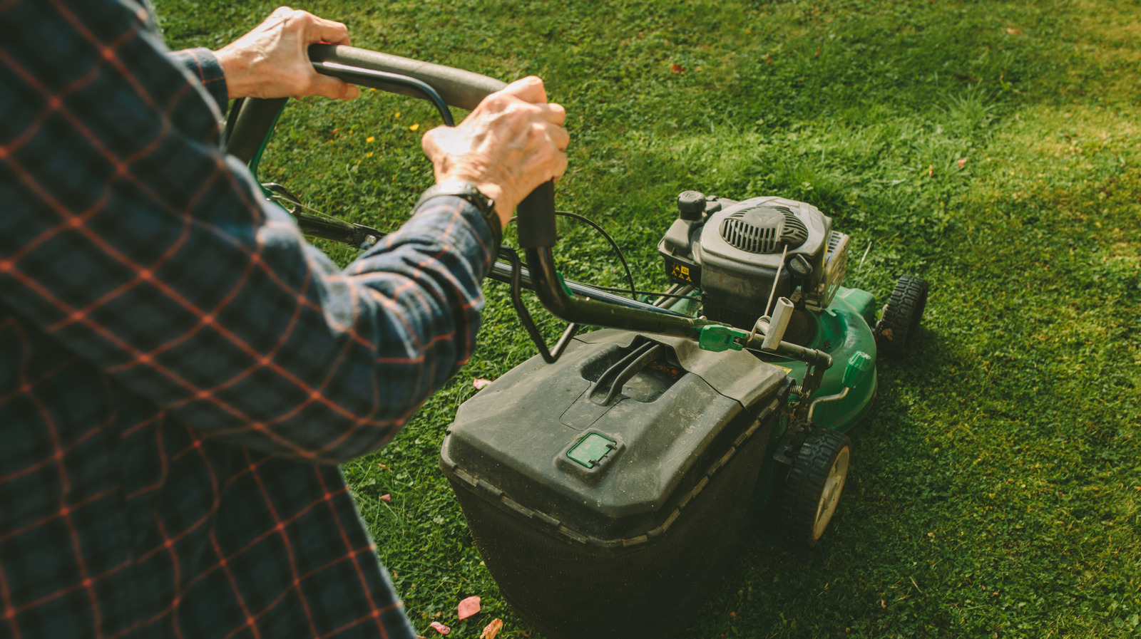 How To Choose The Perfect Lawn Mower For Your Grass Type