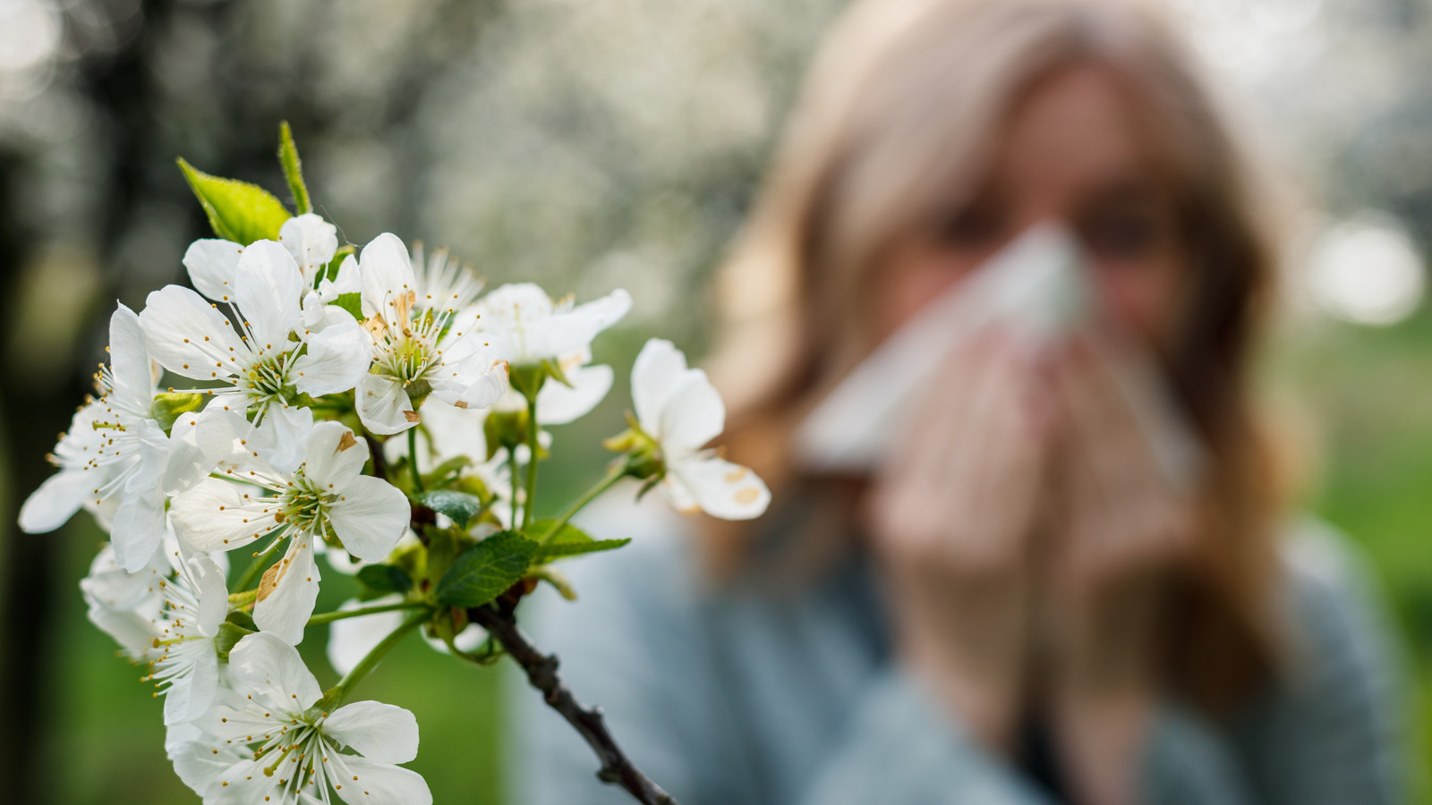 How To Create A More Allergy-Friendly Garden