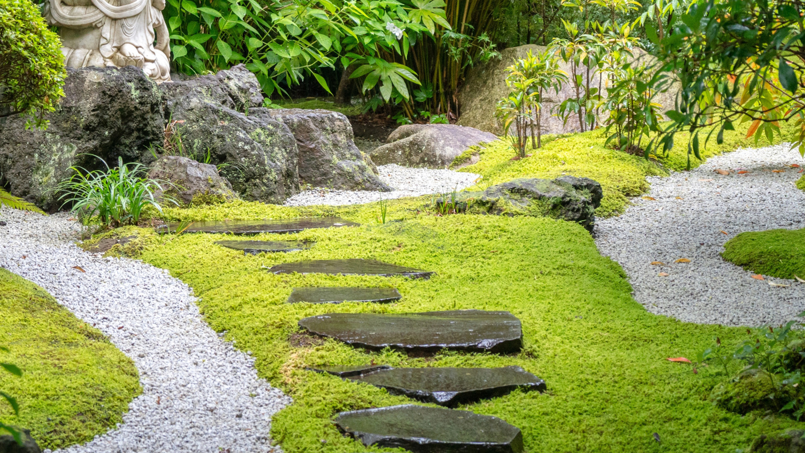 How To Determine The Best Type Of Moss To Use In Your Landscaping