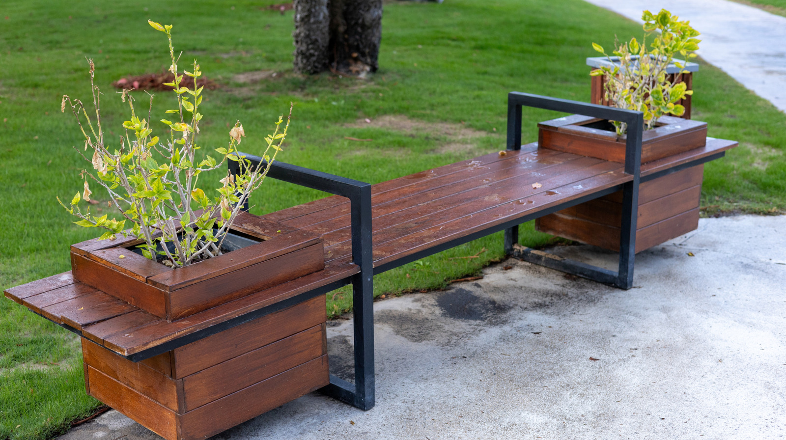 How To Ensure Plants In Outdoor Benches Thrive