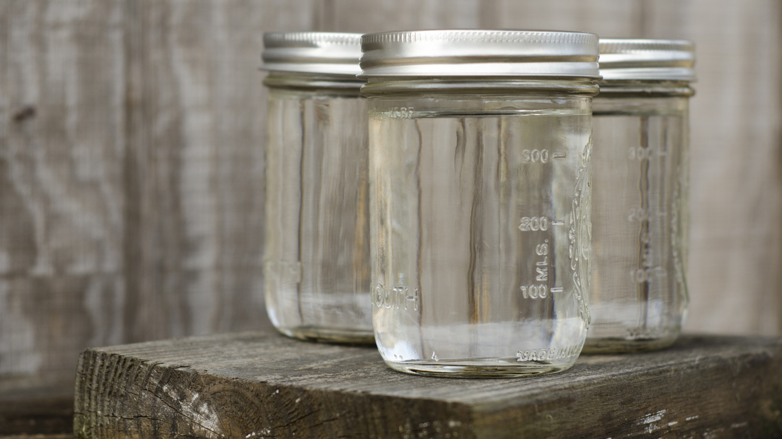 How To Repurpose An Old Mason Jar Lid To Make A Small Planter