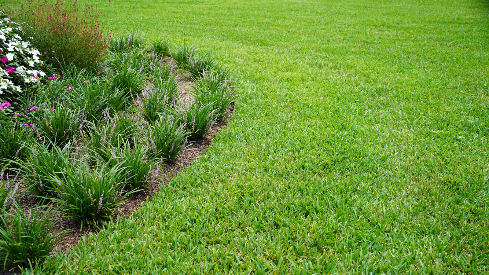 How To Successfully Care For Your Warm-Season Grass
