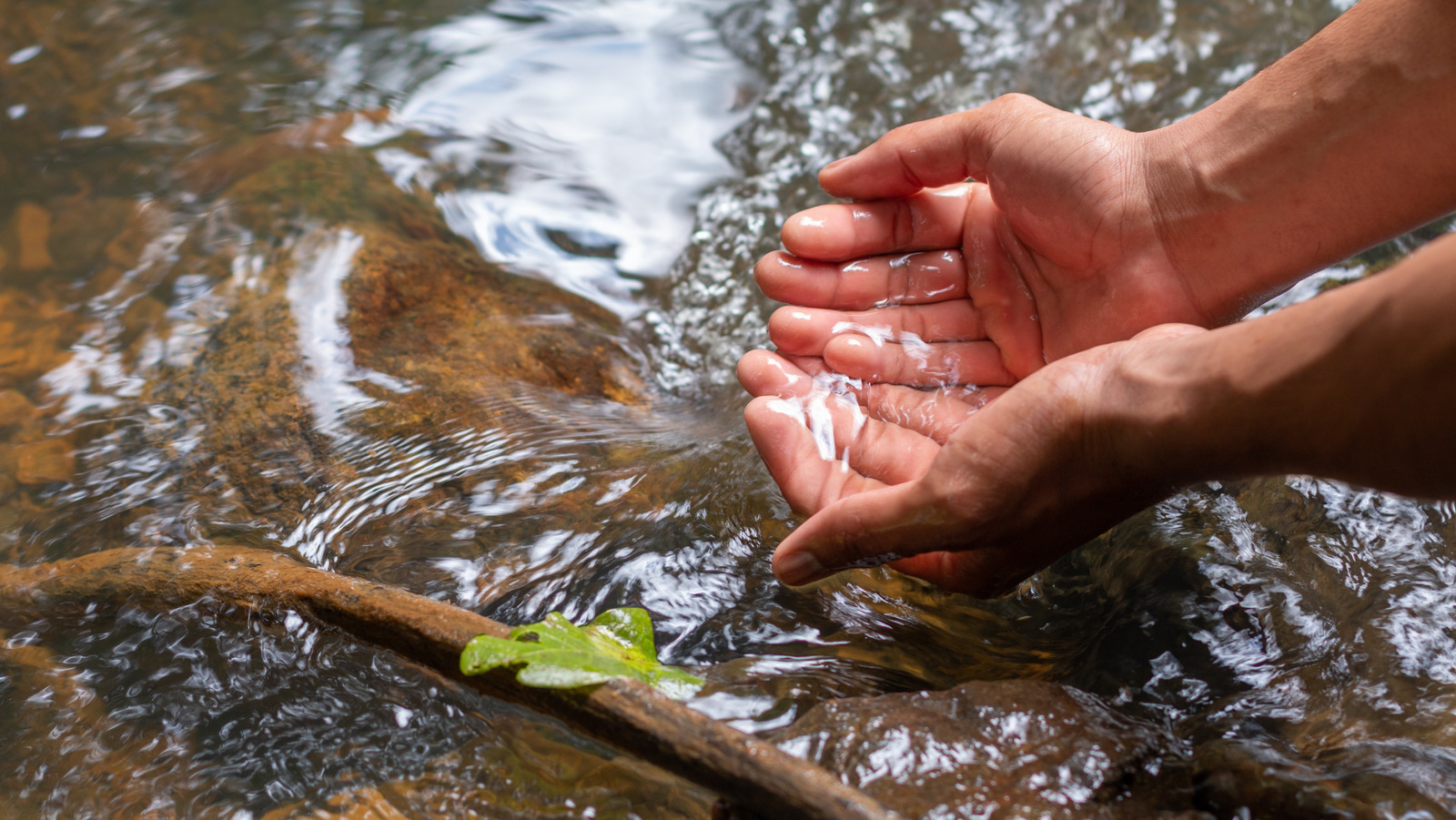 How To Tell If A Stream You See On A Hike Is Safe To Drink From