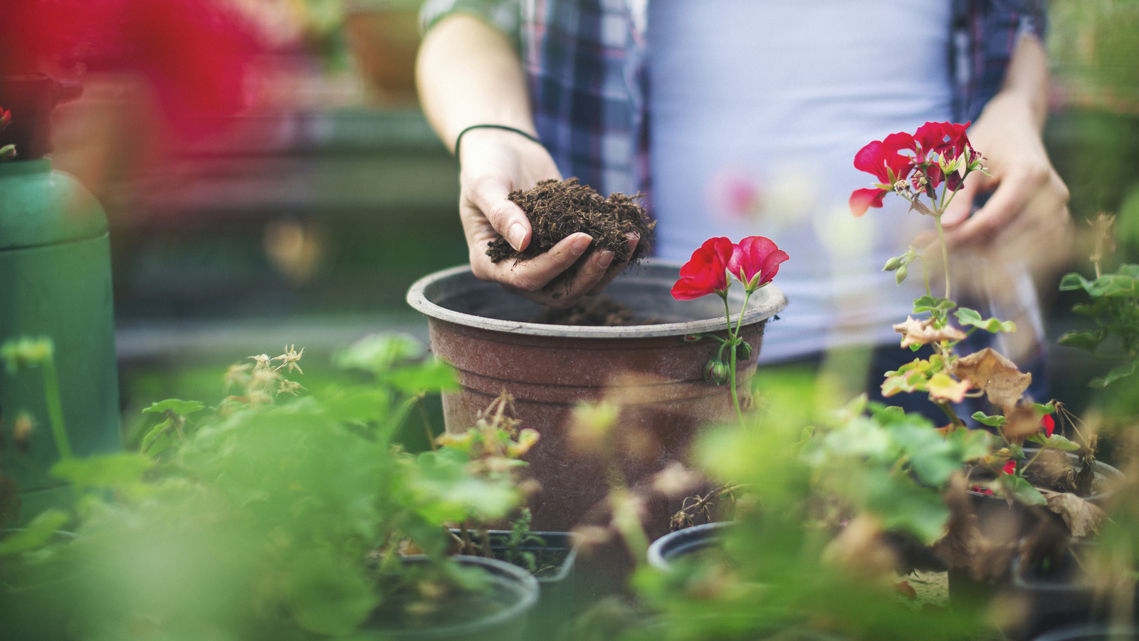 How To Transform A Drying Rack Into A Simple Plant Potting Station