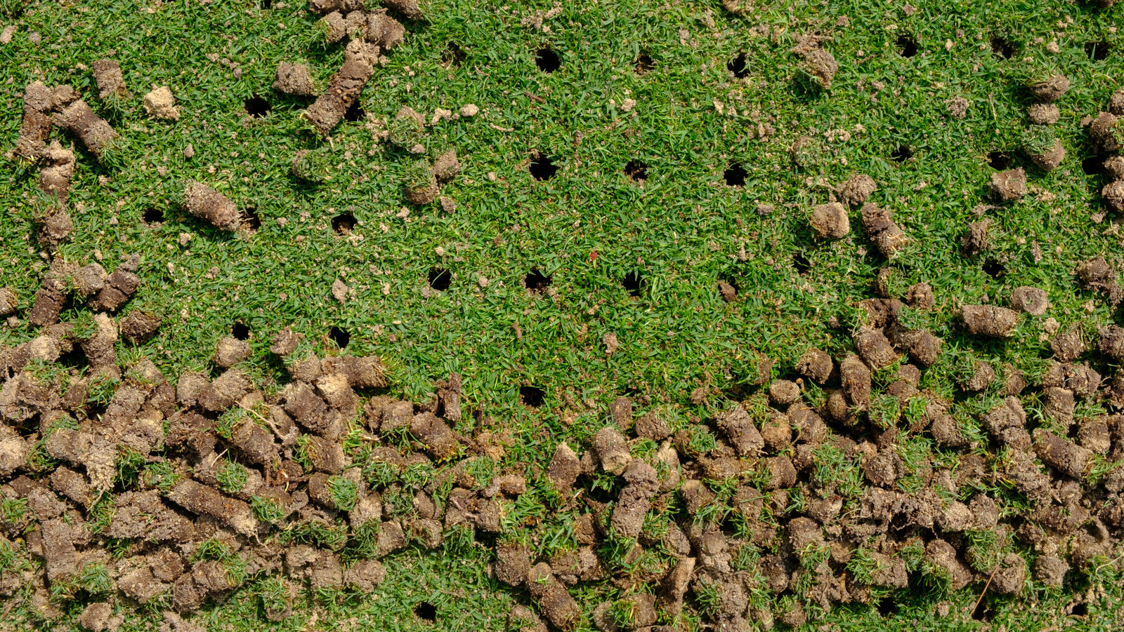 If Your Lawn Is Full Of Soil Plugs From Aerating, Here's What You Can Do