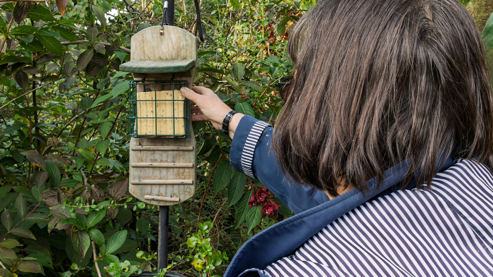 Keep Your Bird Feeder Mess-Free With A Simple DIY Upgrade