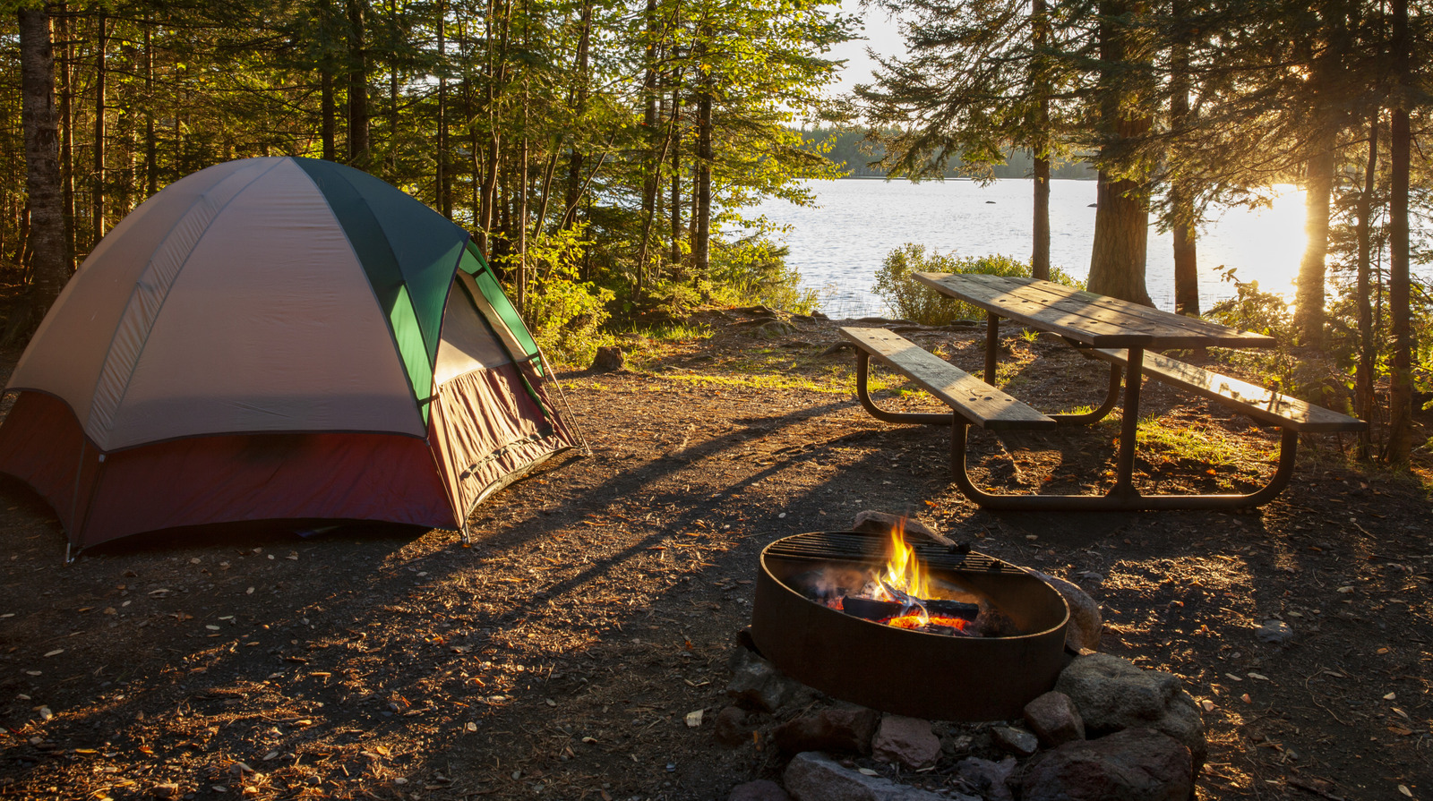 Keep Your Campsite Snake-Free With These Easy Tips