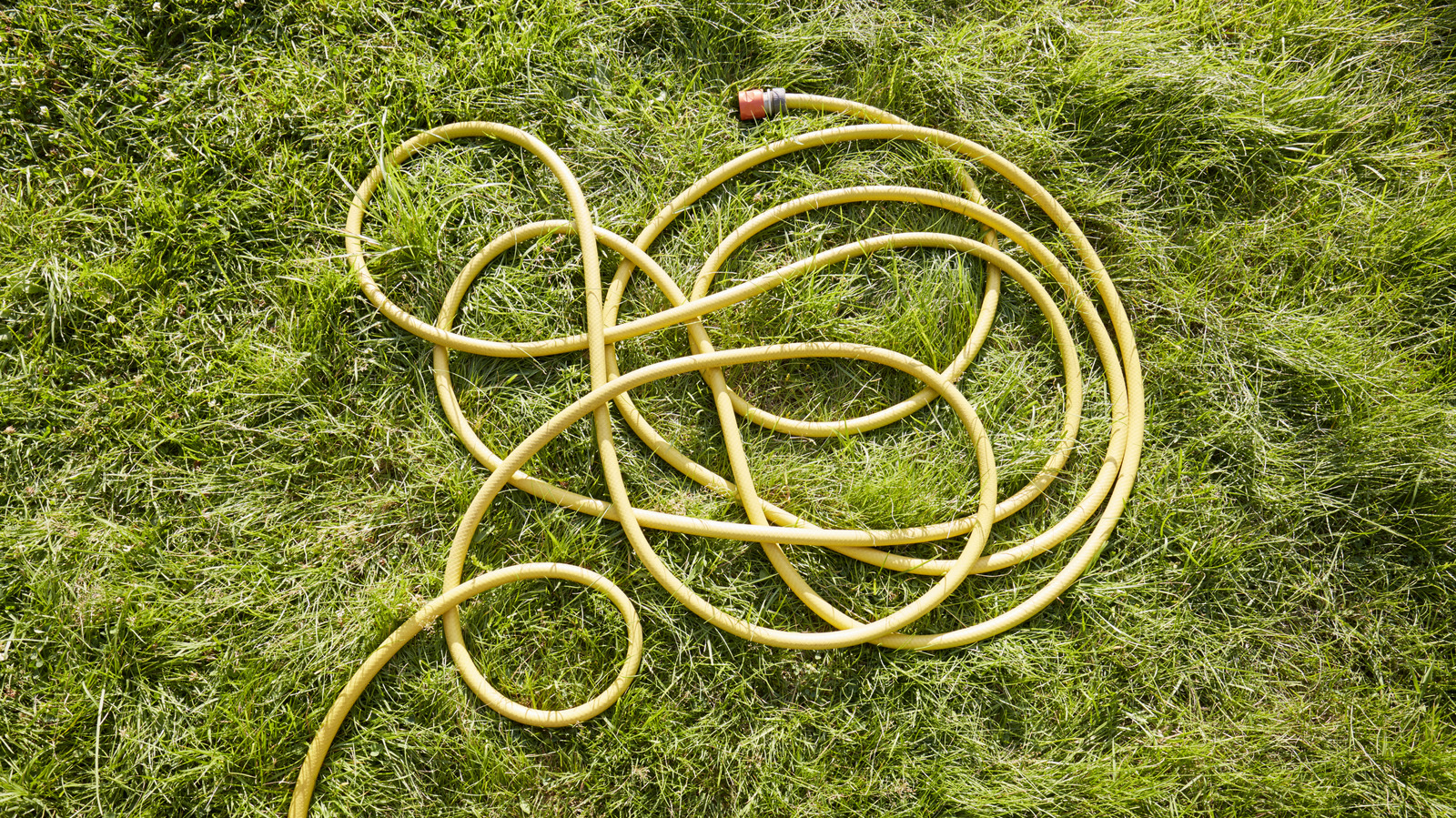 Keep Your Garden Hose Organized With This Clever Storage Hack