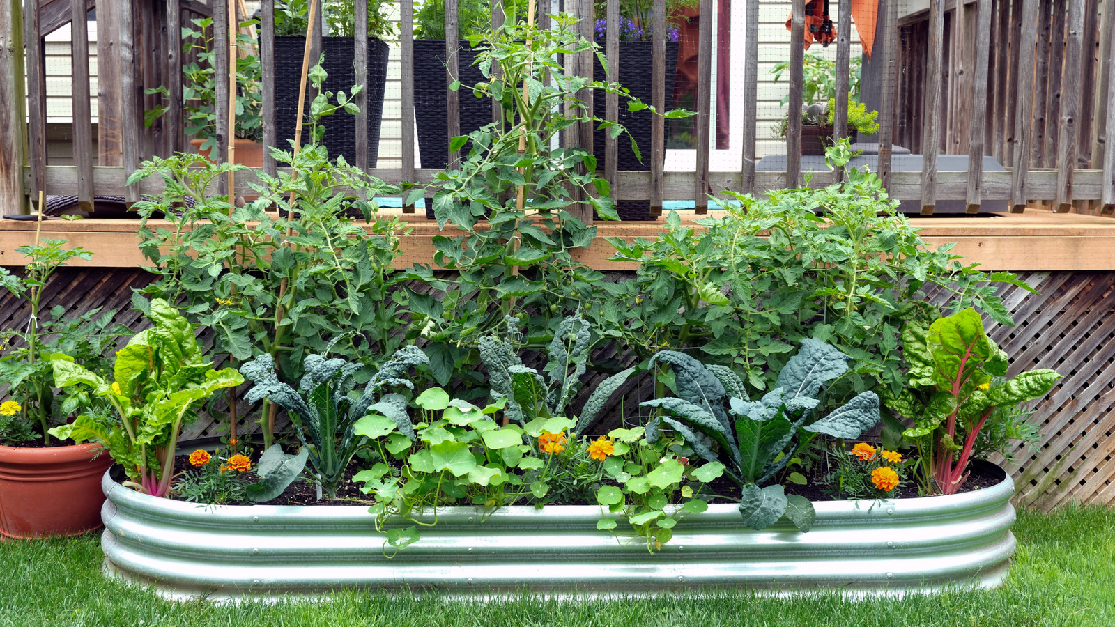 Make Growing A Vegetable Container Garden Easier With A Genius Solution