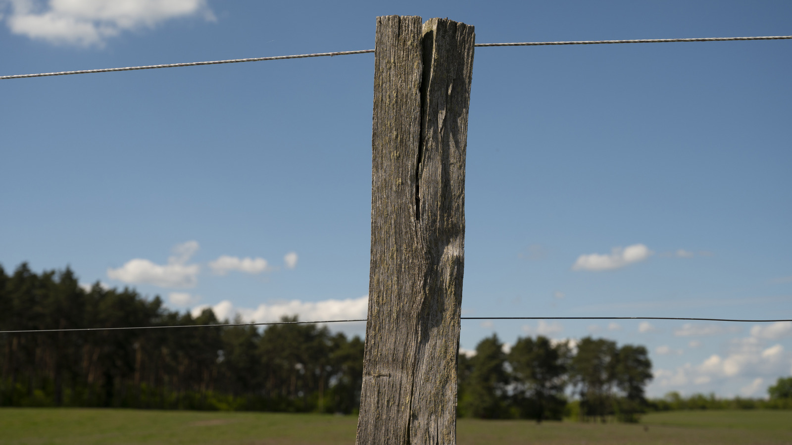 Make Installing A Fence In Your Yard Easier With This Handy Tool