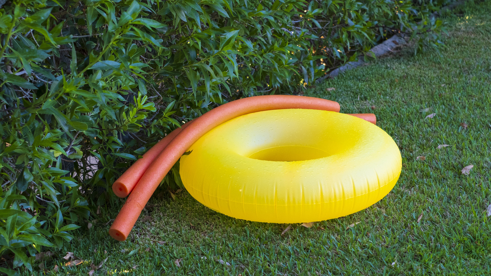 Make Starting Seeds Easier With The Help Of A Poolside Staple