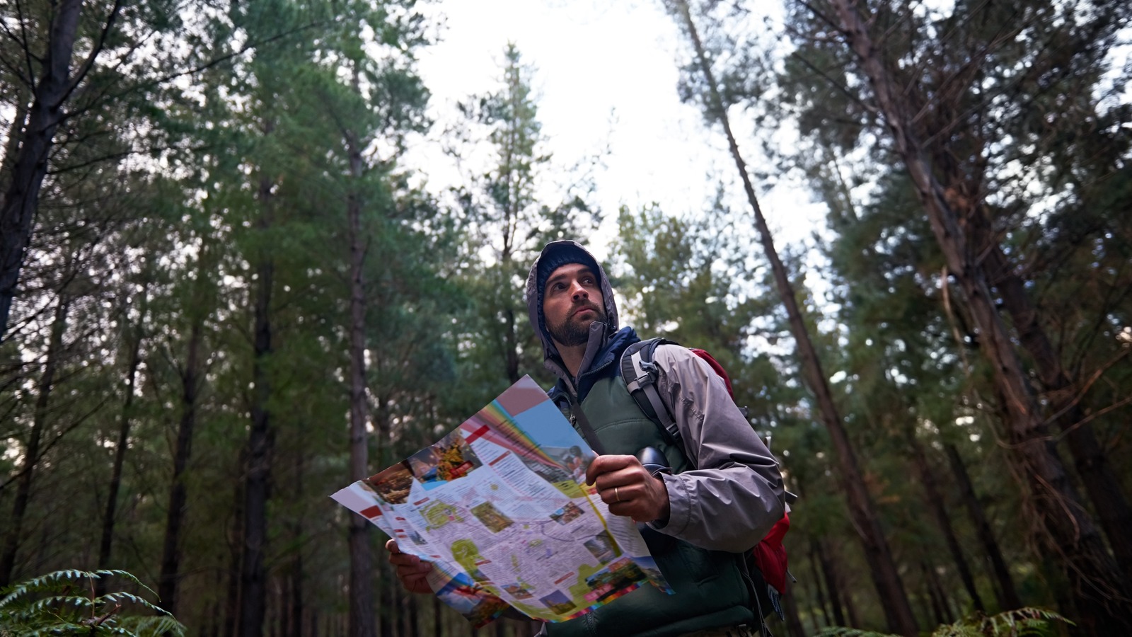 Prevent Getting Lost In The Woods With These Helpful Tips
