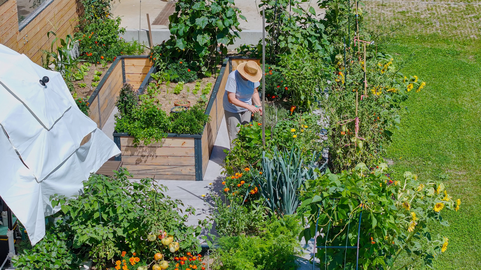 Raised Beds Vs. In-Ground Garden Beds: Which Is Overall Better?