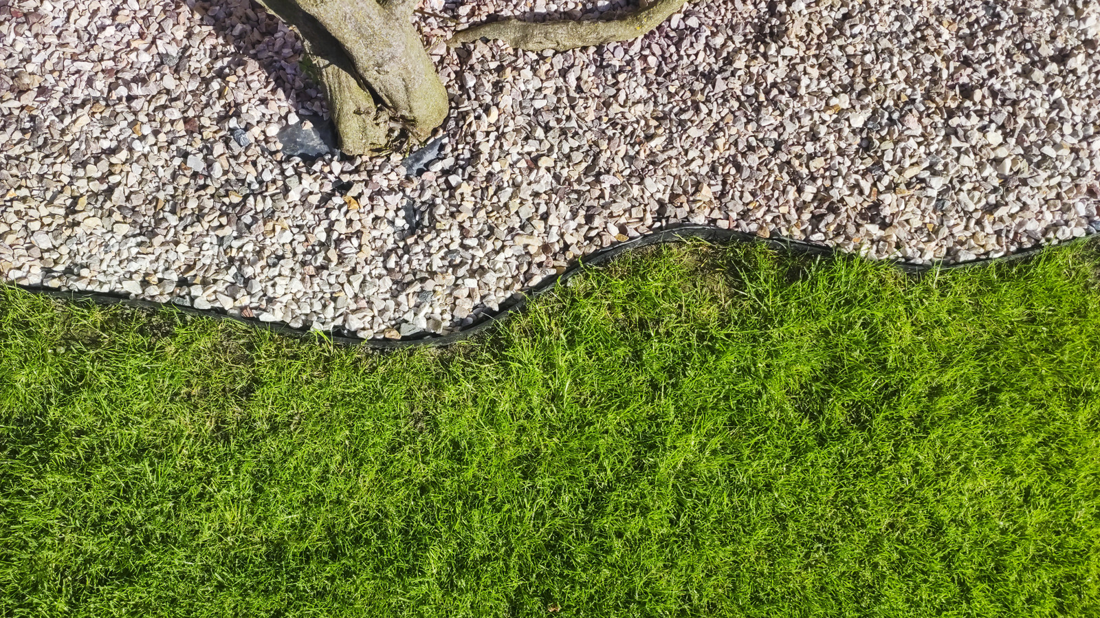 Repurpose An Old Hose For An Easy Garden Edging Hack