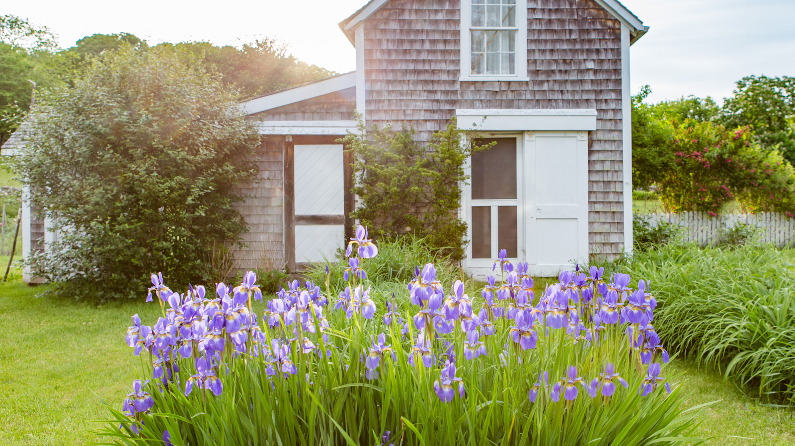 Repurpose An Old Screen Door To Add Some One-Of-A-Kind Charm To Your Garden