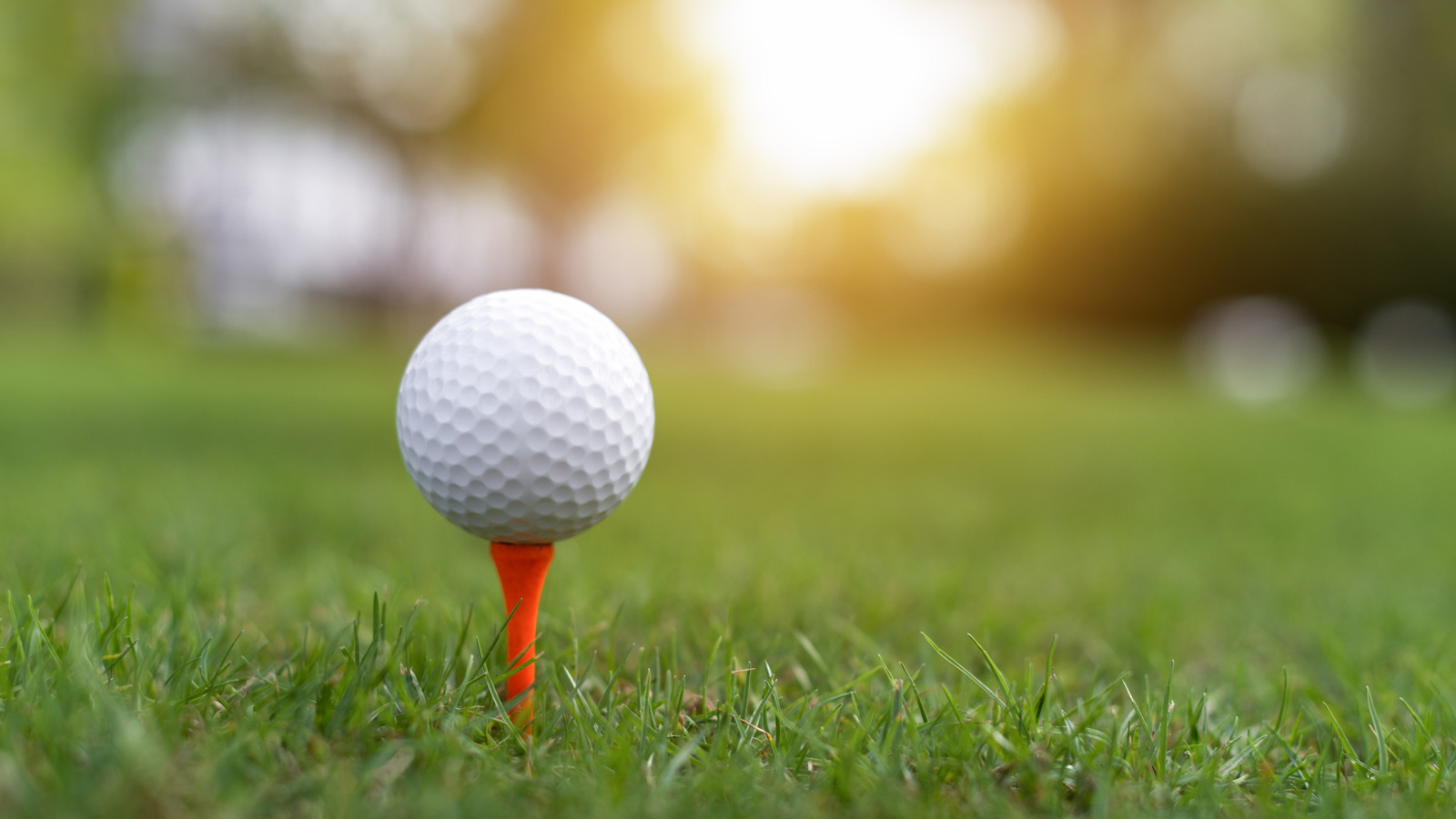 Repurpose Extra Golf Tees For A Clever Seed Starting Hack